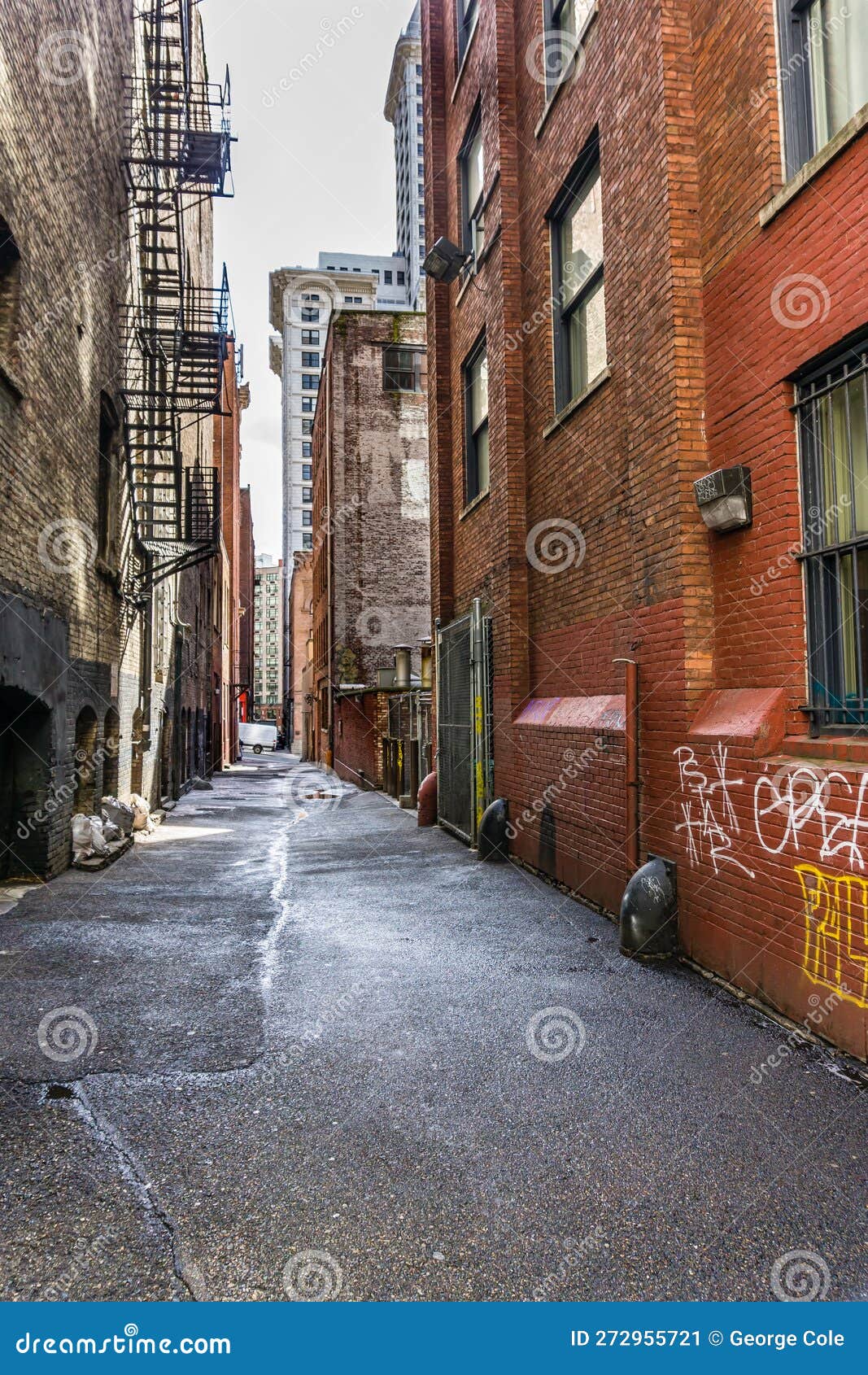 Seattle Buildings Alley stock image. Image of tall, outdoors - 272955721