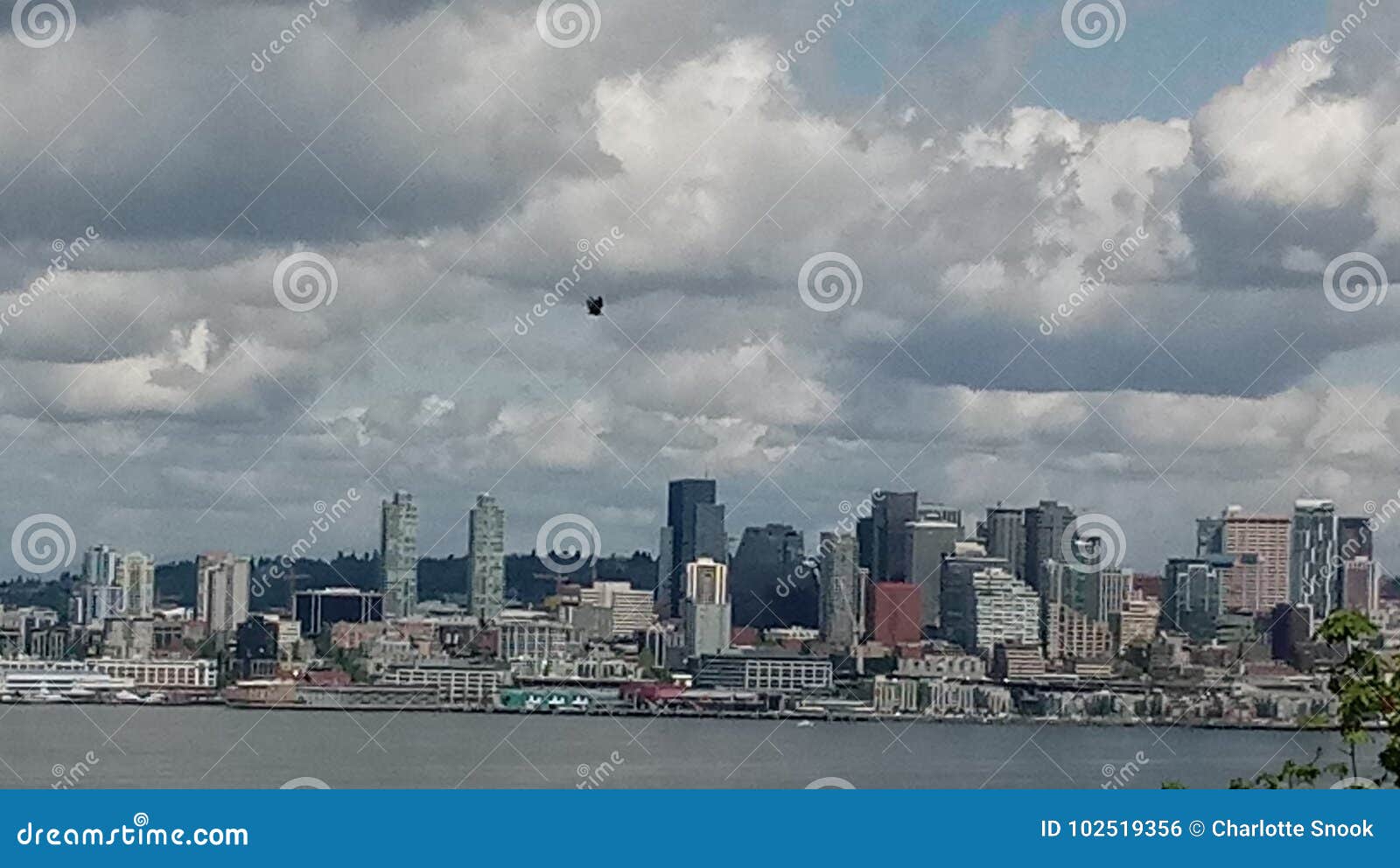 Seattle with eagle stock photo. Image of buildings, flying - 102519356