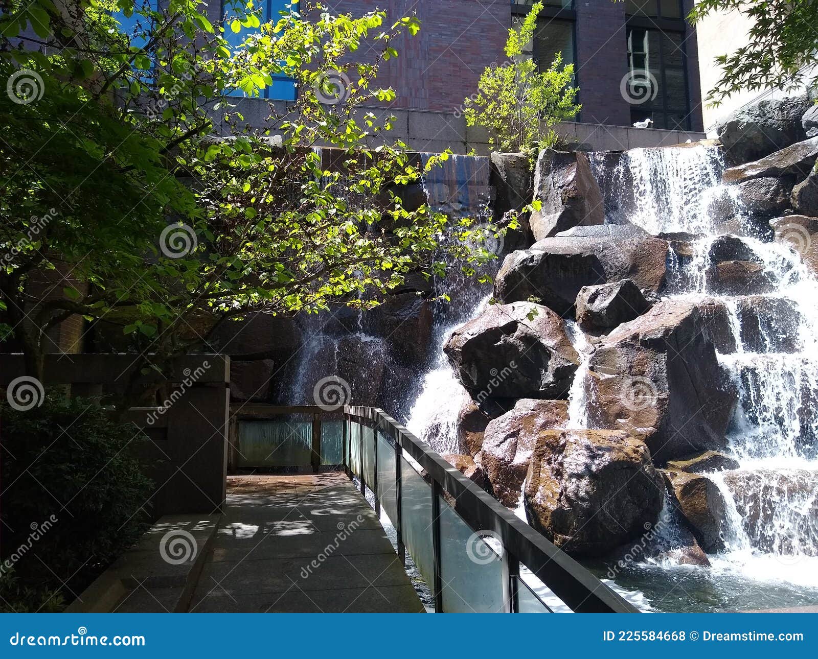 Seattle downtown area stock photo. Image of waterfall - 225584668