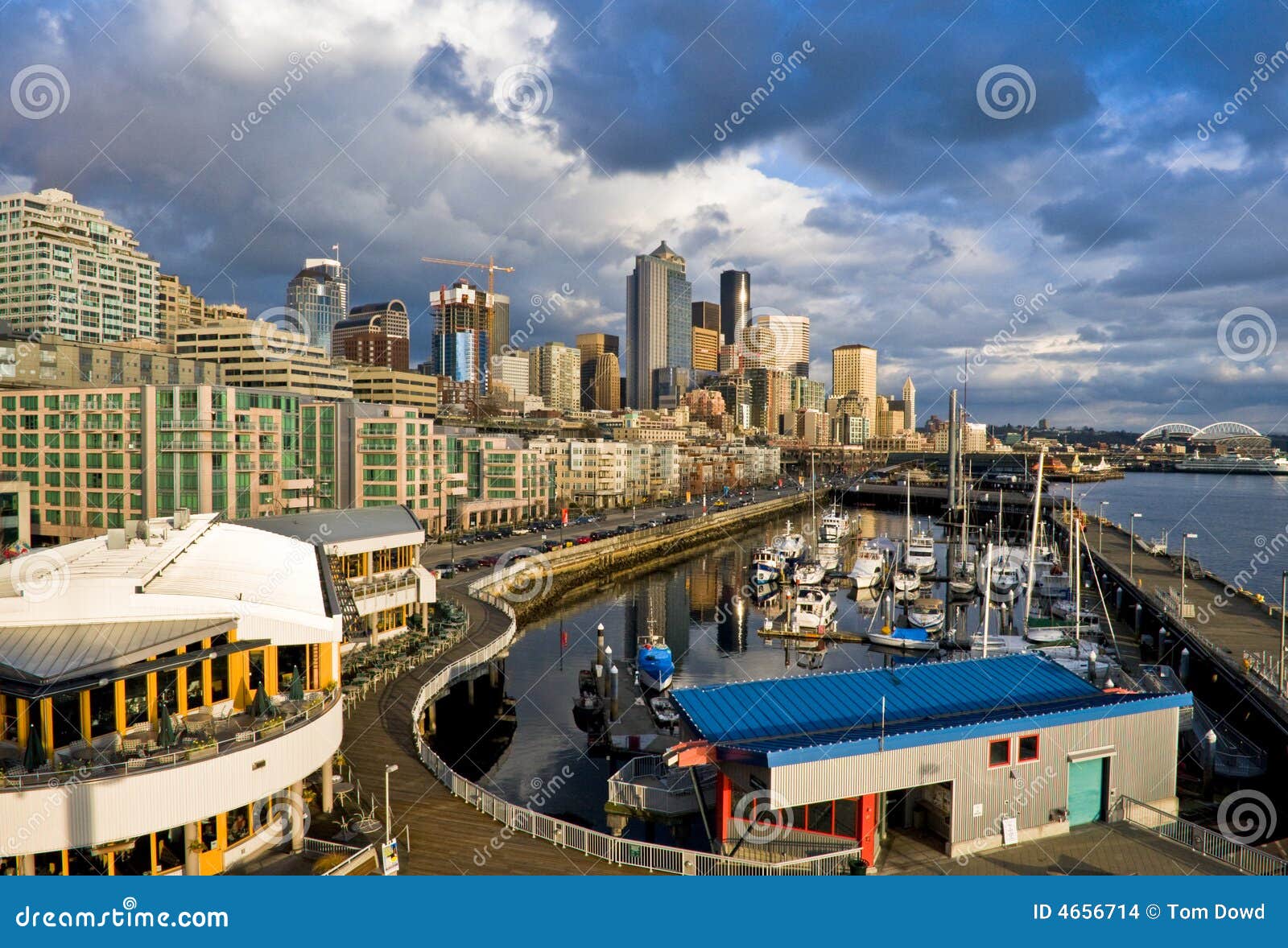 Seattle downtown marina stock photo. Image of marina, water - 4656714