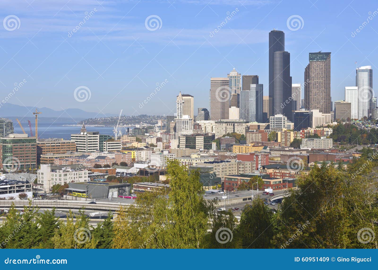 Seattle Downtown Modern Buildings Skyline. Stock Image - Image of live ...