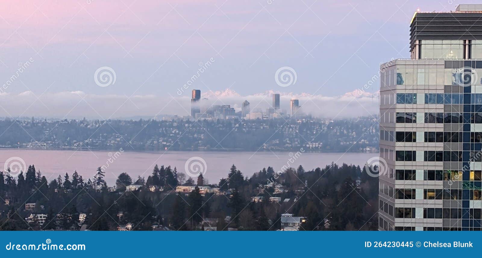 Seattle Foggy Sunrise stock image. Image of morning - 264230445