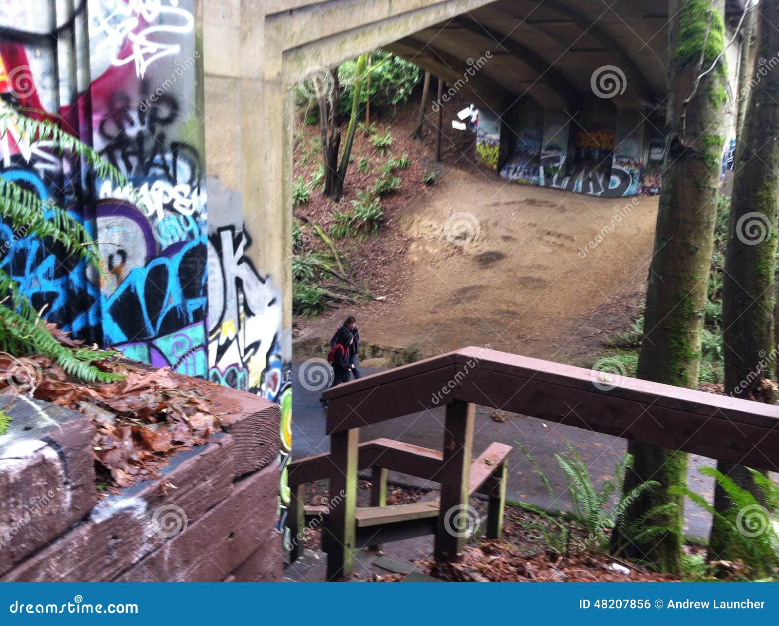 Seattle graffiti editorial photo. Image of stairs, graffiti - 48207856