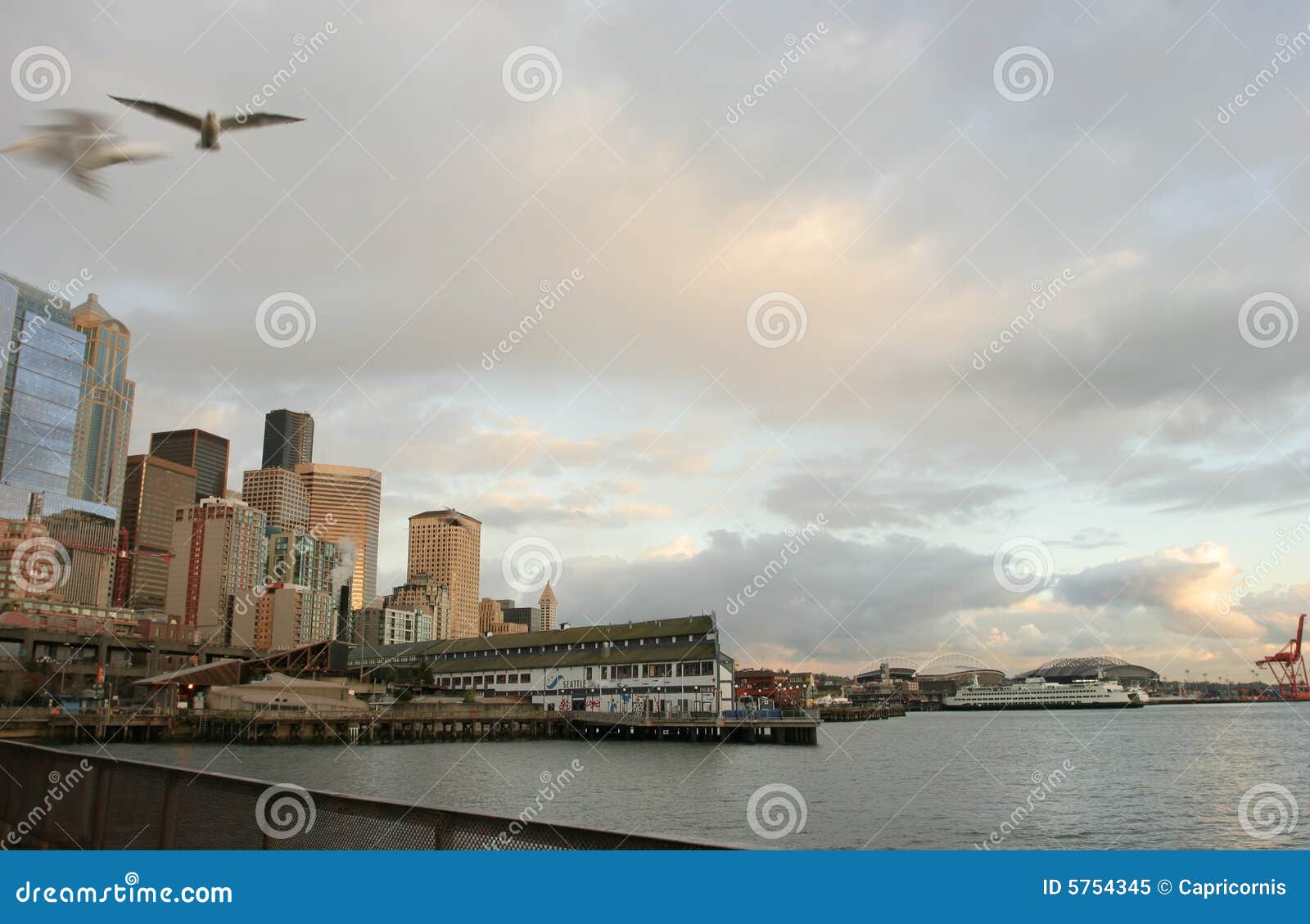 Seattle Harbor at Sunset with Blurred Seagulls Stock Image - Image of ...