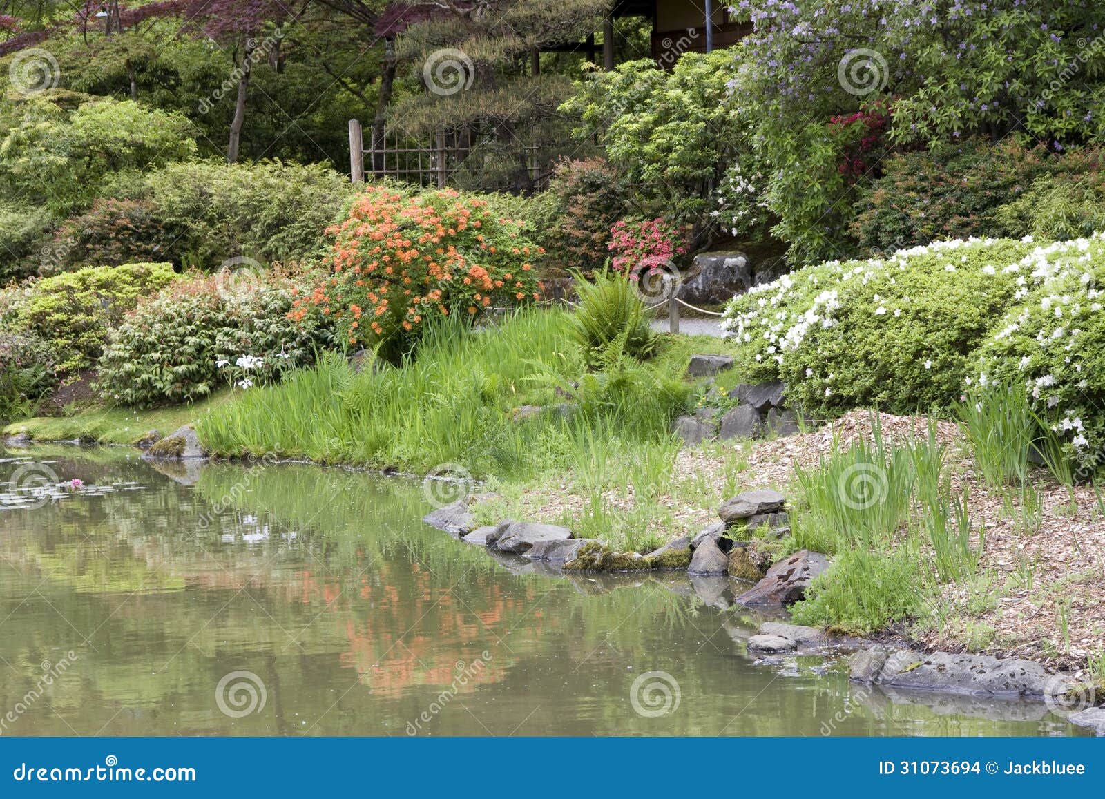 Seattle Japanese garden stock photo. Image of garden - 31073694