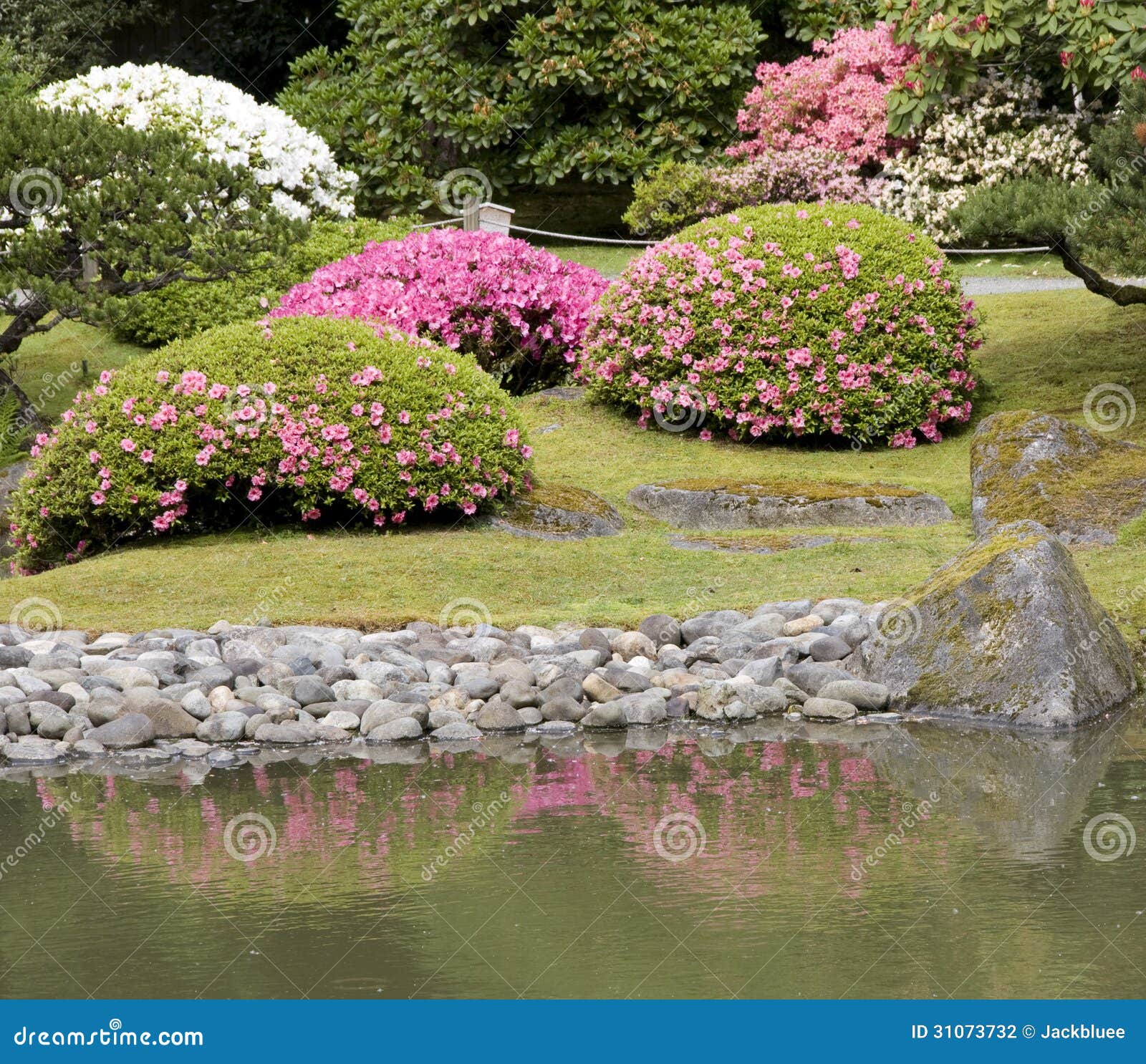 Seattle Japanese garden stock photo. Image of landscaping - 31073732