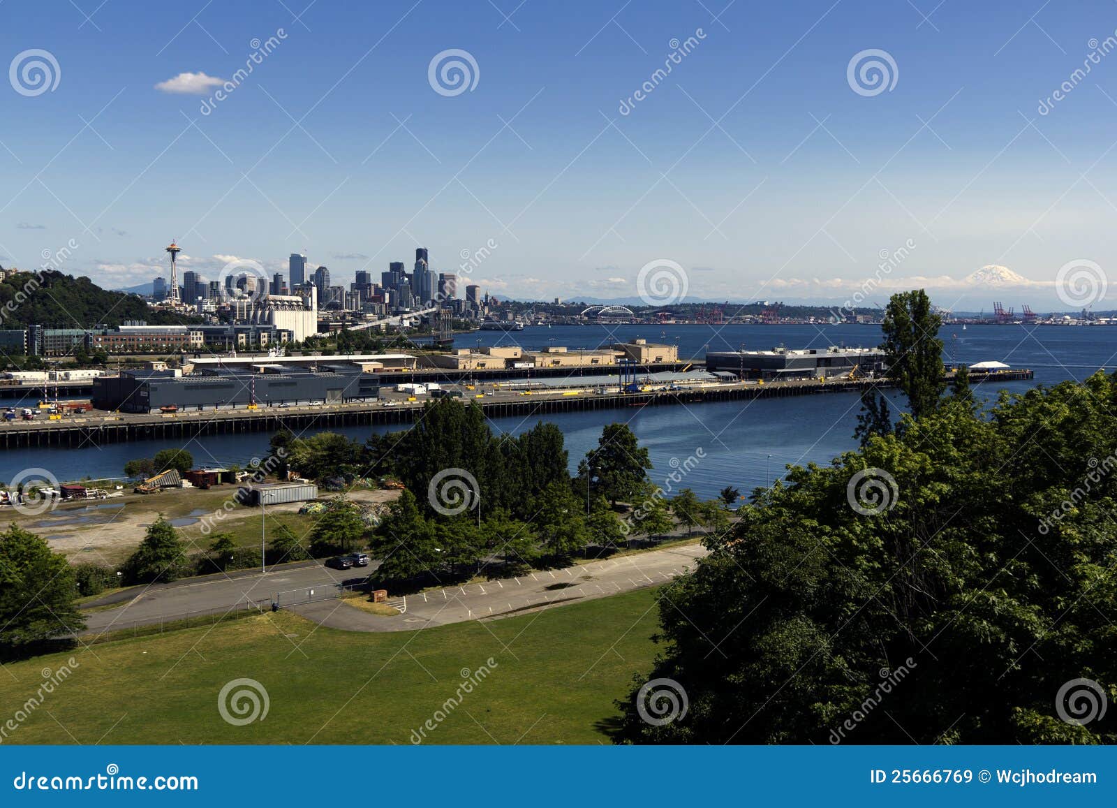 Seattle, Mt. Rainier stock image. Image of crane, leaves - 25666769