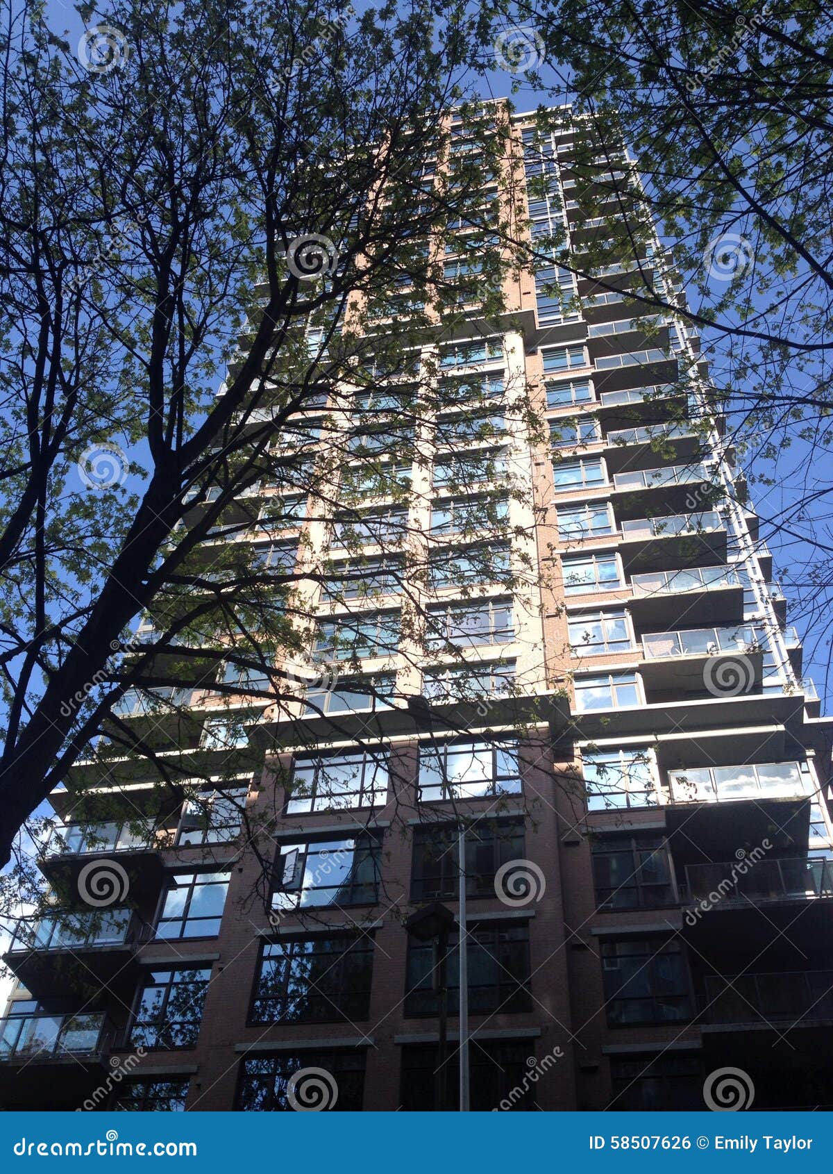 Seattle editorial photo. Image of tree, overlaps, building - 58507626