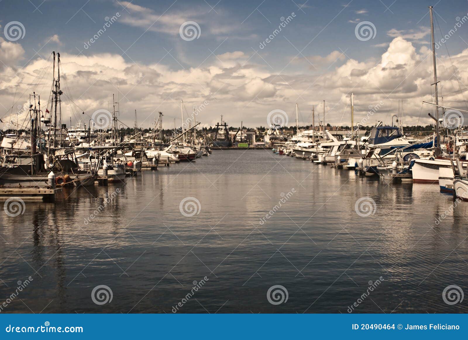 Seattle s Fishing Harbor stock photo. Image of seattle - 20490464