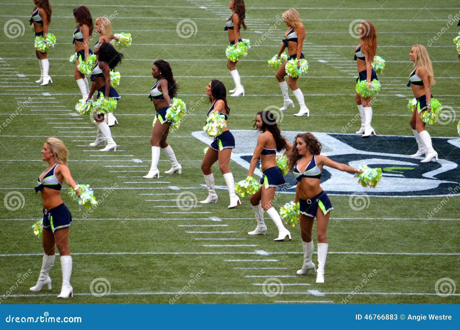 Seattle Seahawk Seagals editorial stock photo. Image of spirited - 46766883