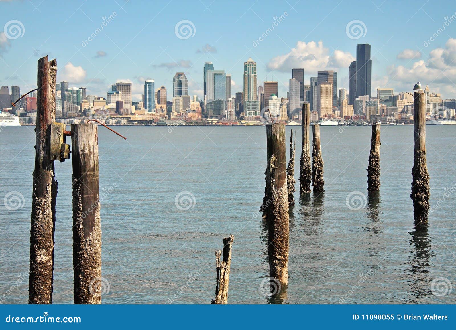 Seattle Skyline stock image. Image of panorama, metropolitan - 11098055