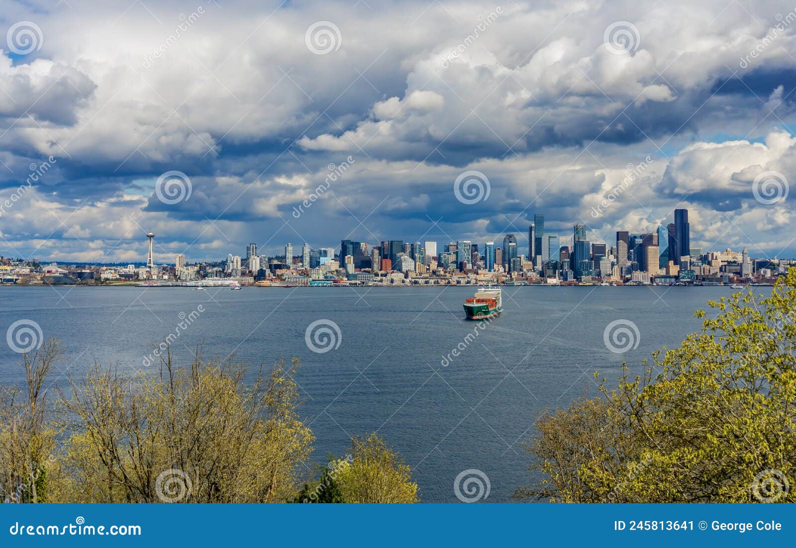 Seattle Skyline Landscape 7 Stock Image - Image of northwest, buildings ...