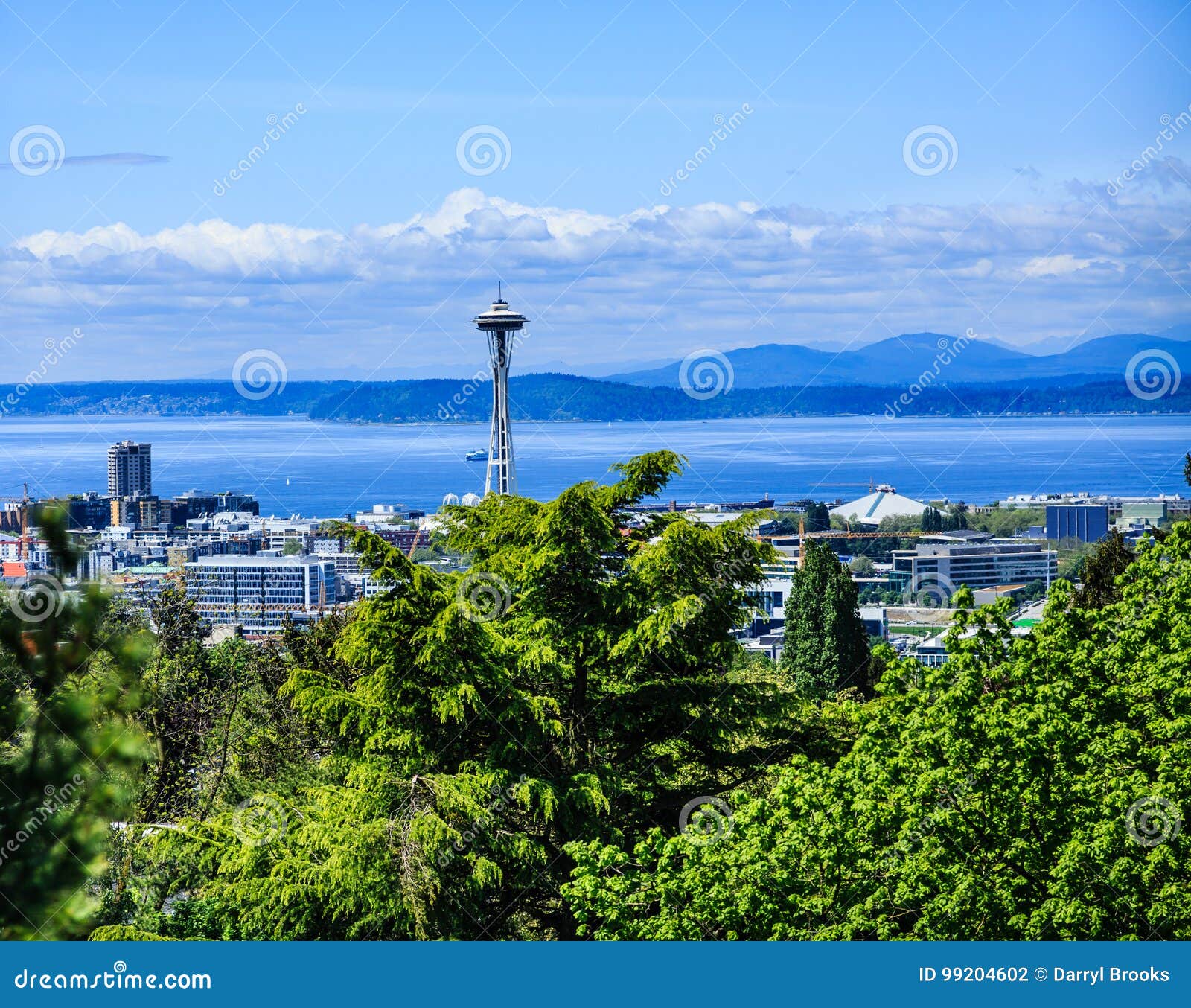 Space Needle between Green and Blue Editorial Photography - Image of ...