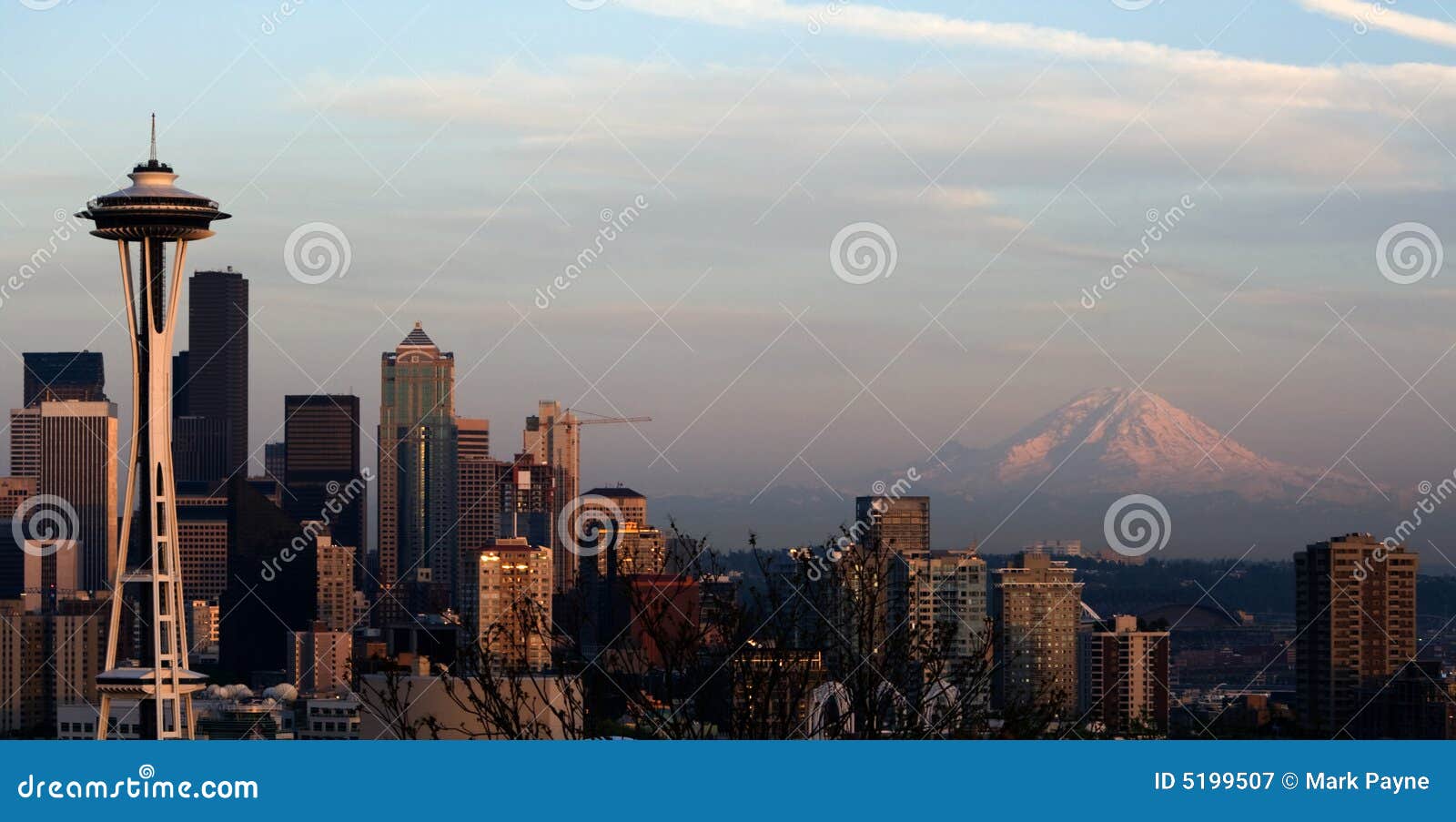 Seattle Space Needle Rainier Stock Image - Image of contrails, capped ...