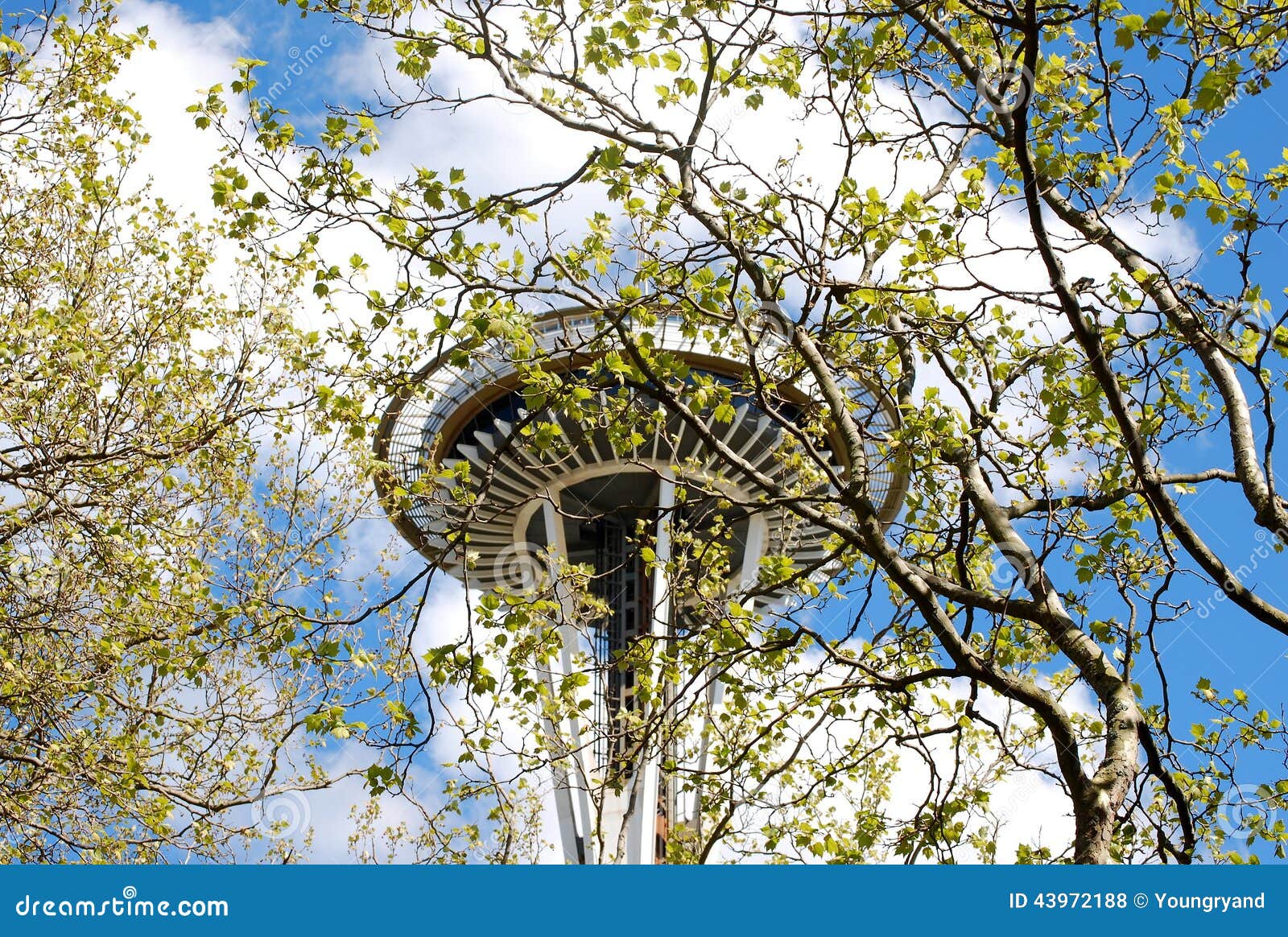 The Seattle Space Needle Seen through Trees Editorial Stock Photo ...