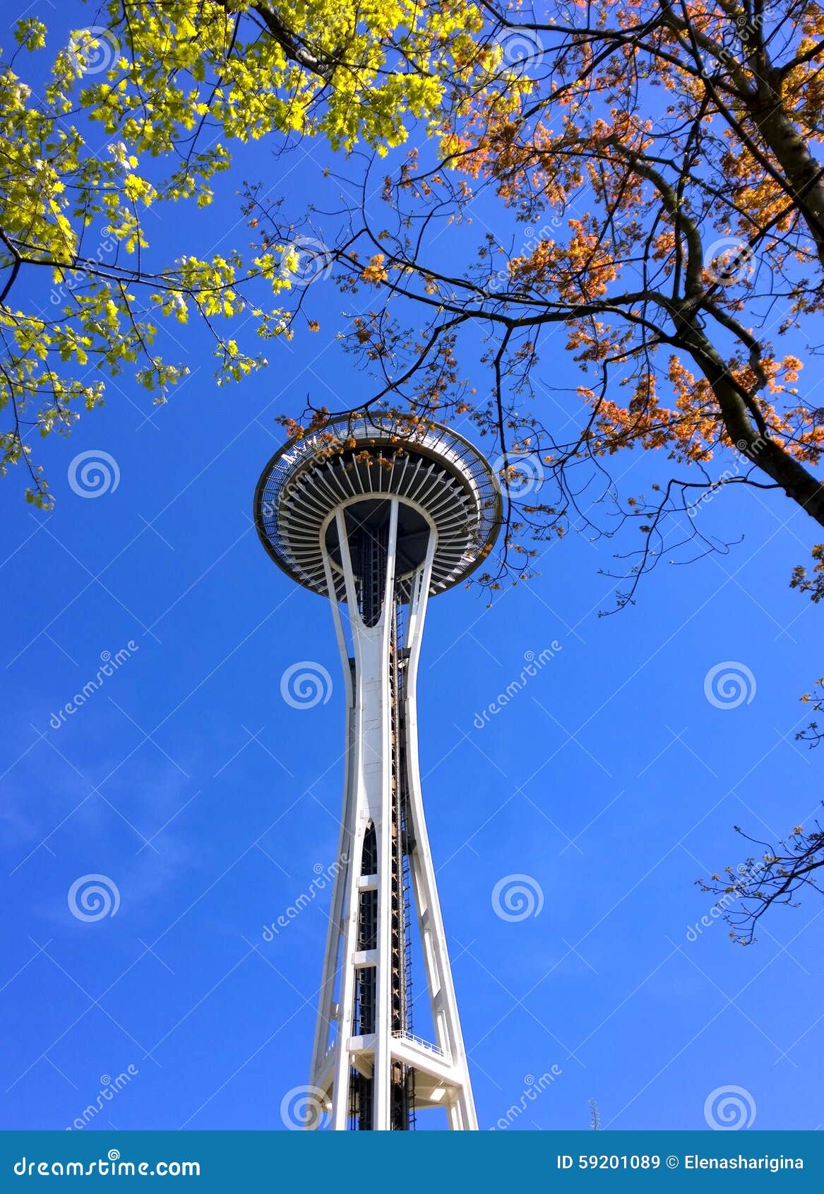 Seattle Space Needle in Spring Editorial Stock Image - Image of spring ...