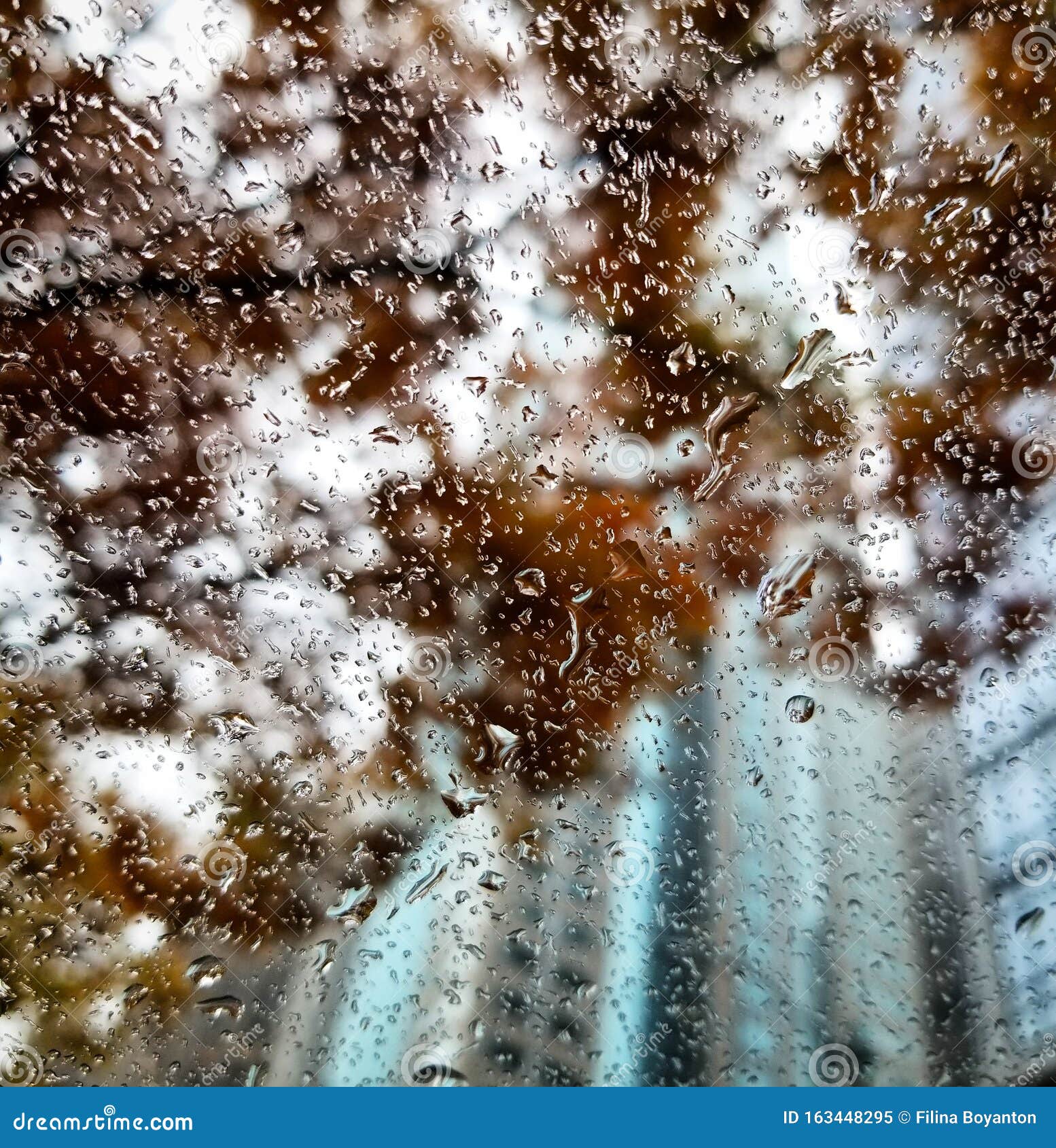 Seattle in spring stock image. Image of weather, circle - 163448295