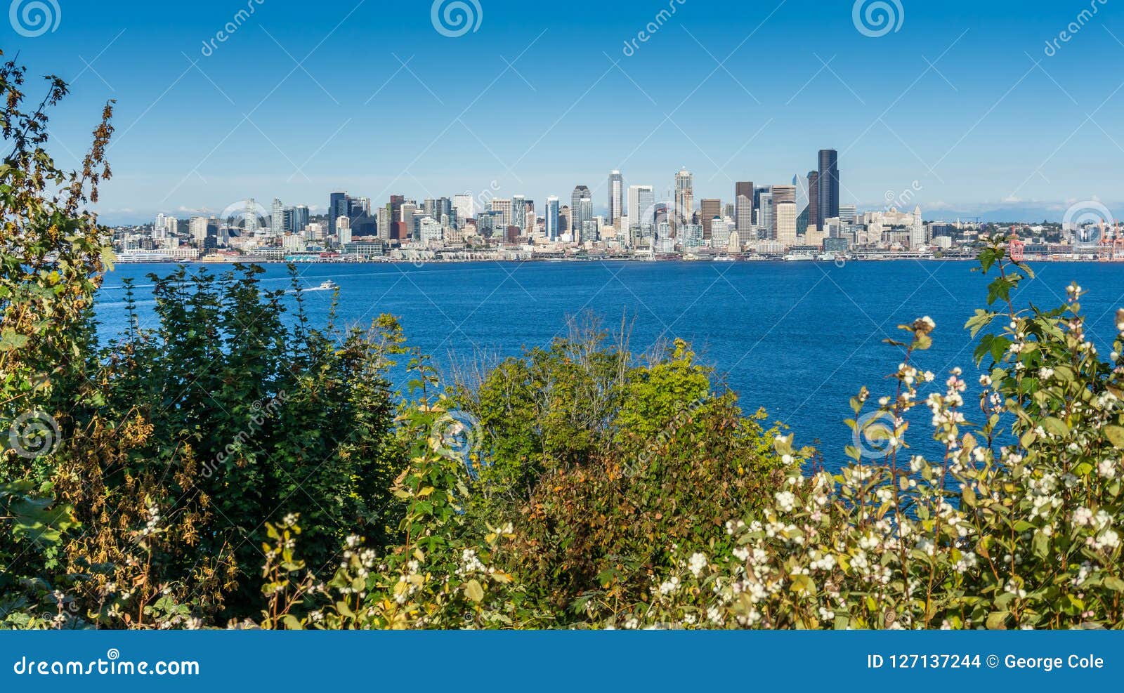 Seattle Urban Landscape stock photo. Image of places - 127137244