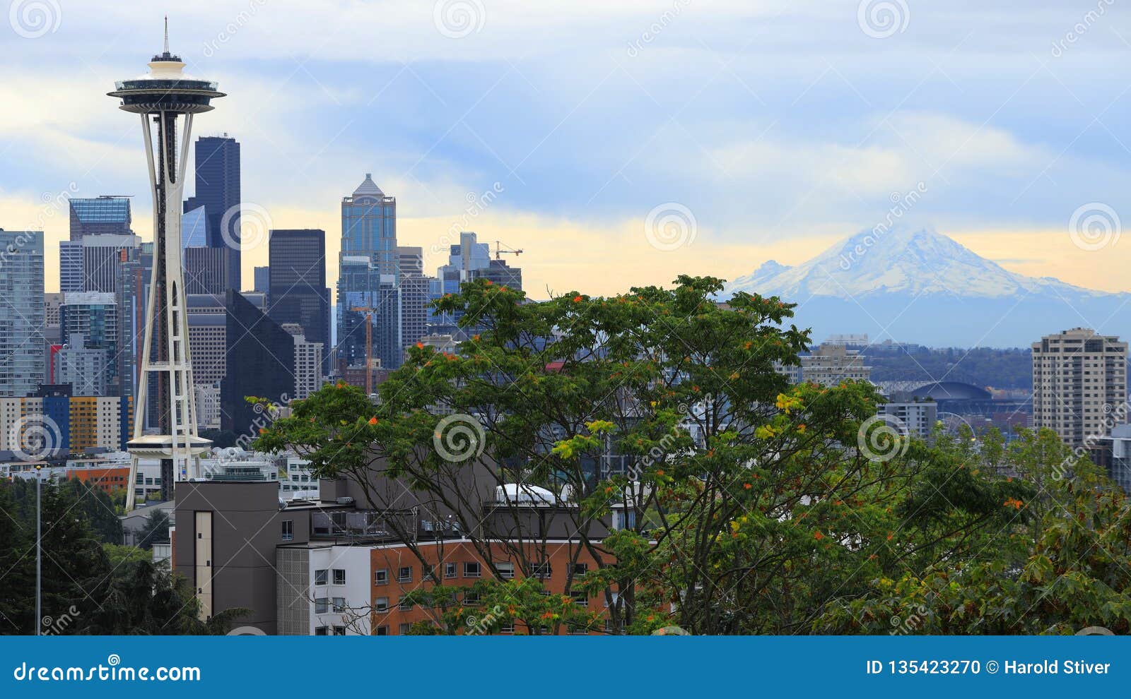 Seattle, Washington Skyline with Mount Ranier on Cloudy Day Editorial ...
