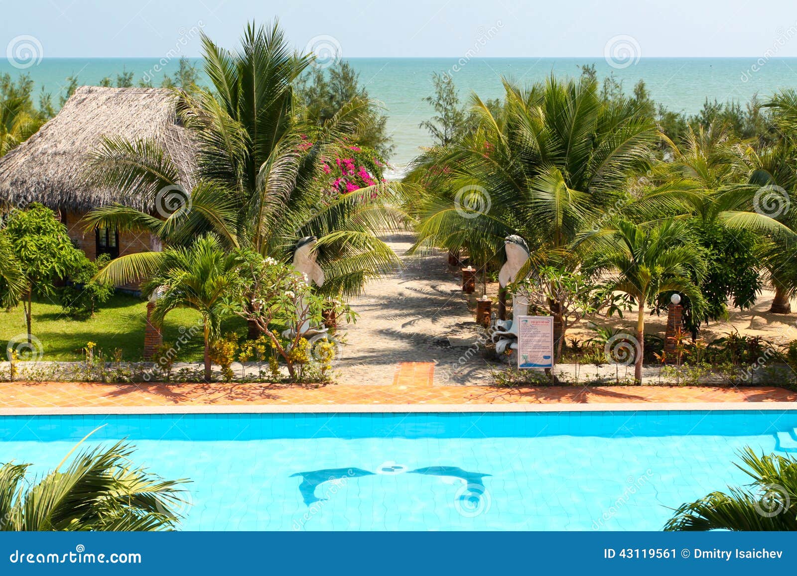Seaview editorial photo. Image of bright, swimmingpool - 43119561