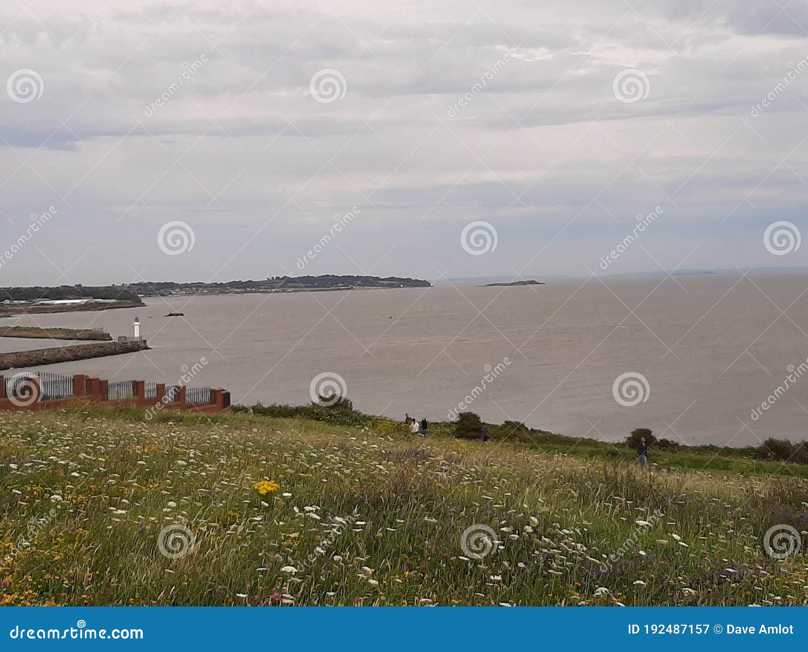 Meadow Lighthouse Overcast Stock Photos - Free & Royalty-Free Stock ...