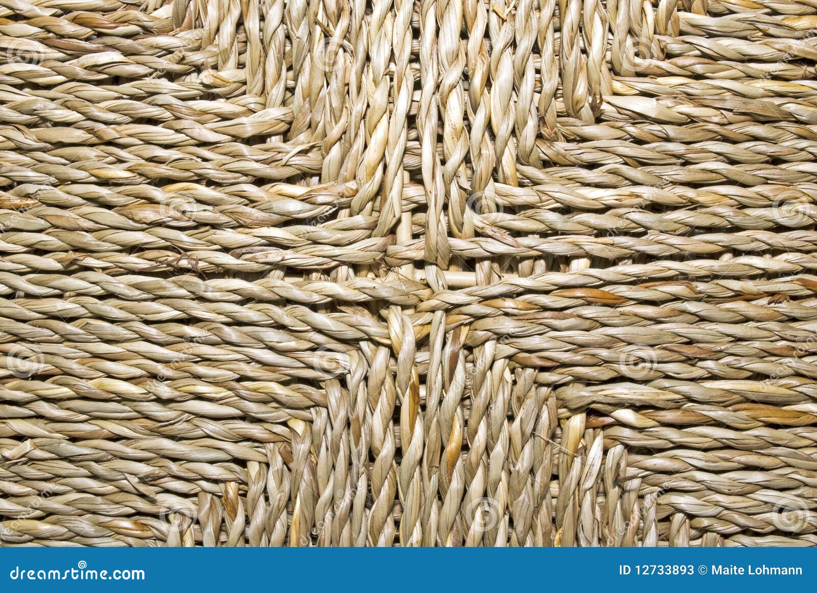 Seaweed stock image. Image of nature, texture, plants - 12733893