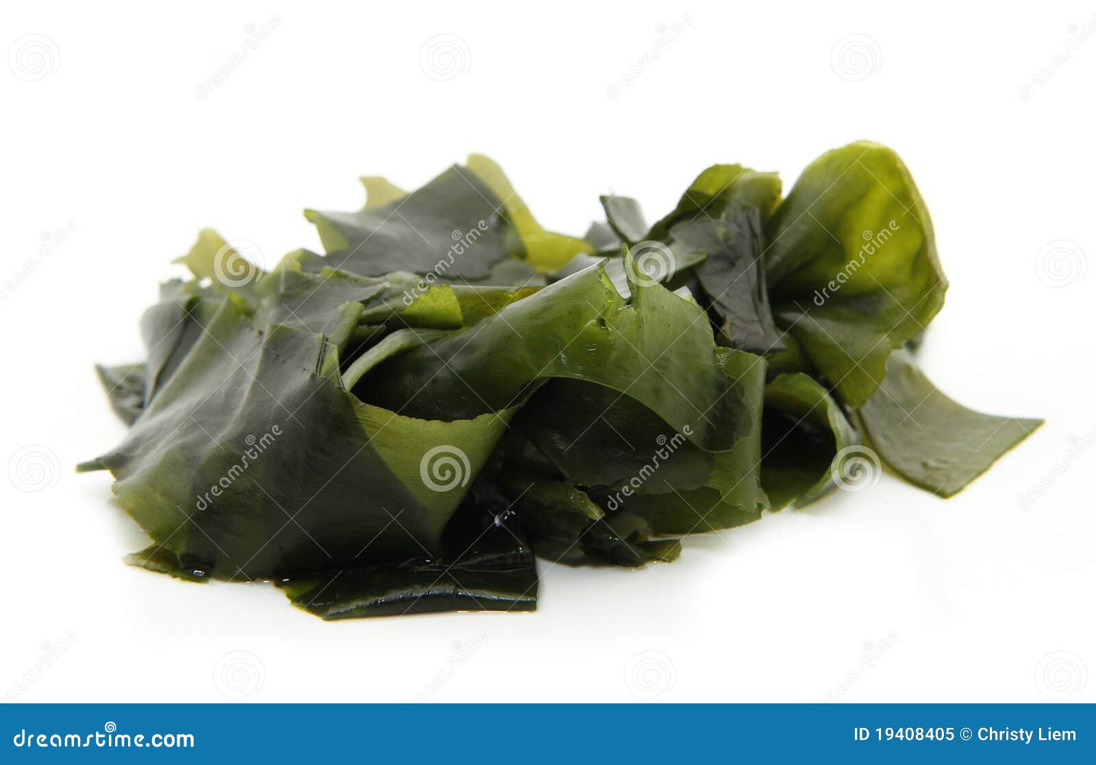 Seaweed stock image. Image of piece, delicious, everyday - 19408405