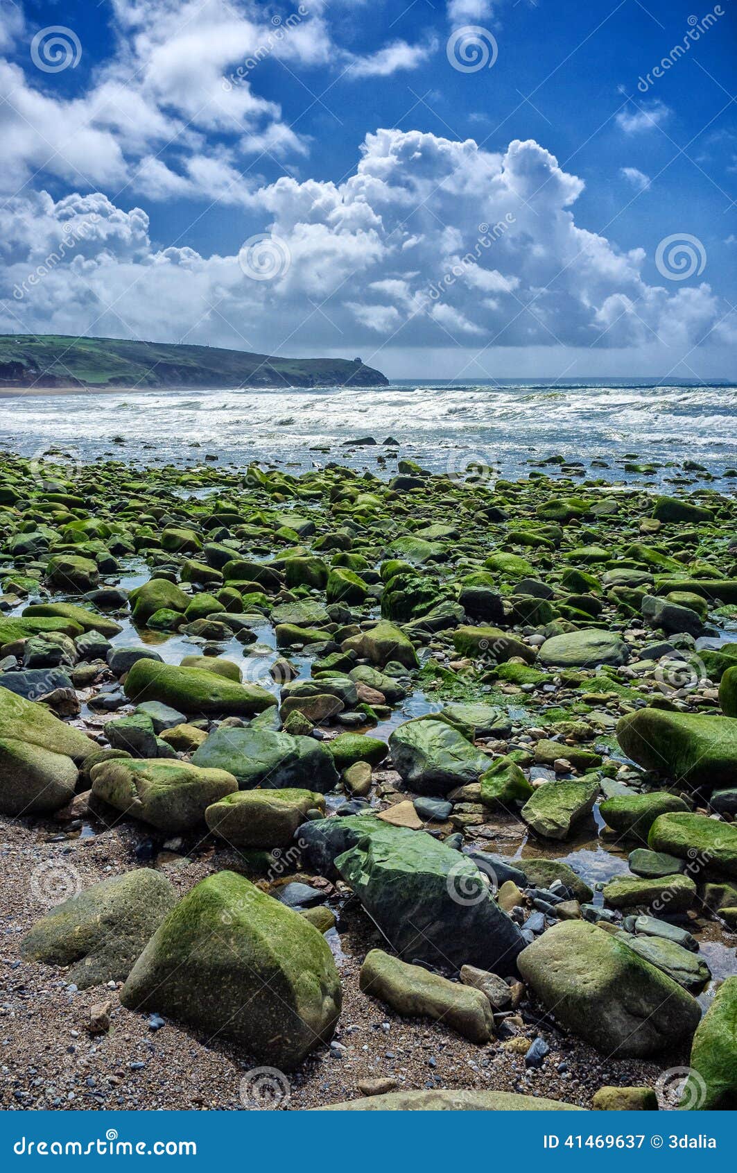 Seaweed Covered Rocks on Beach Stock Image - Image of blue, england ...