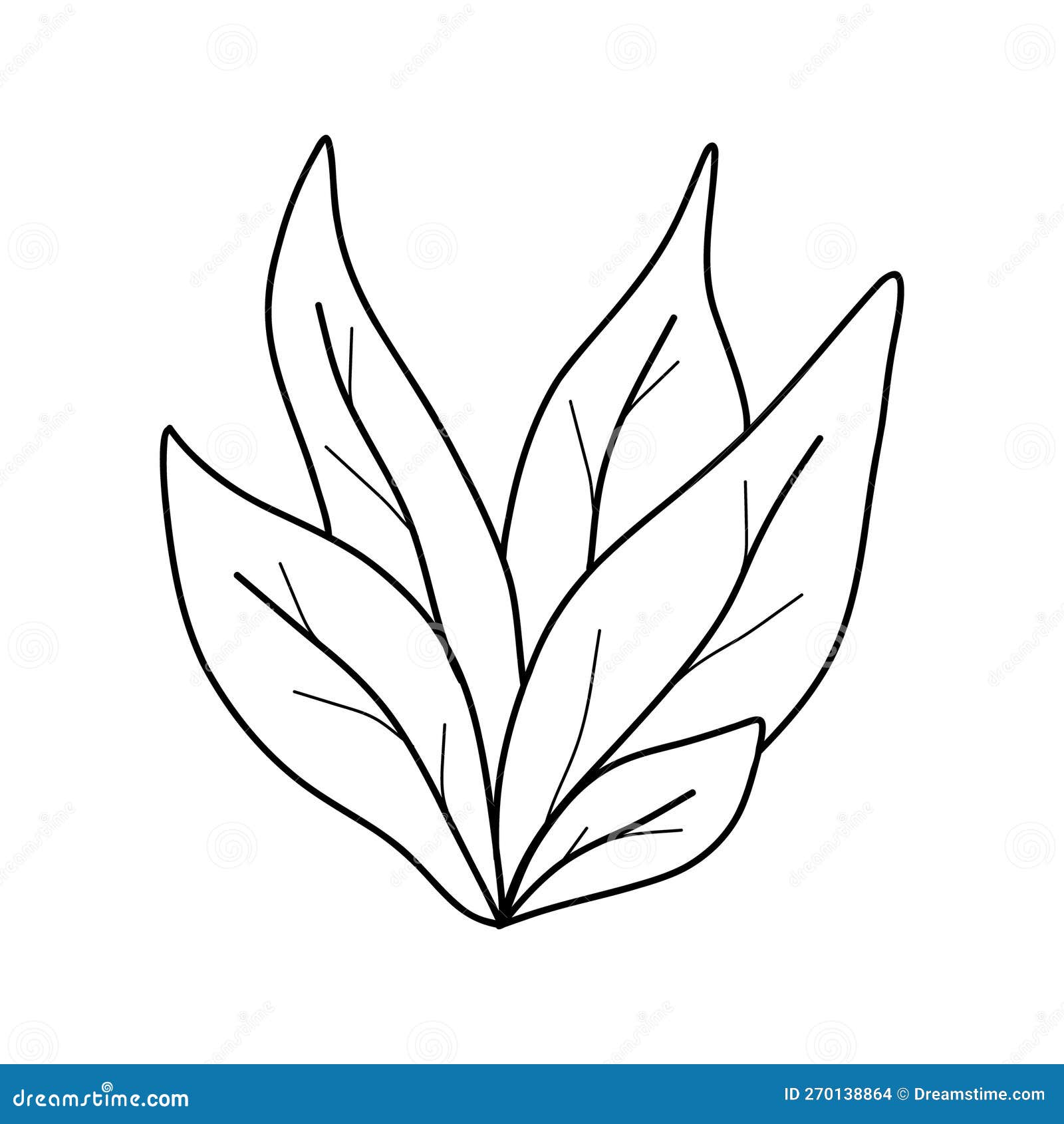 Seaweed in Doodle Style. Linear Underwater Plant. Vector Illustration Stock Vector ...