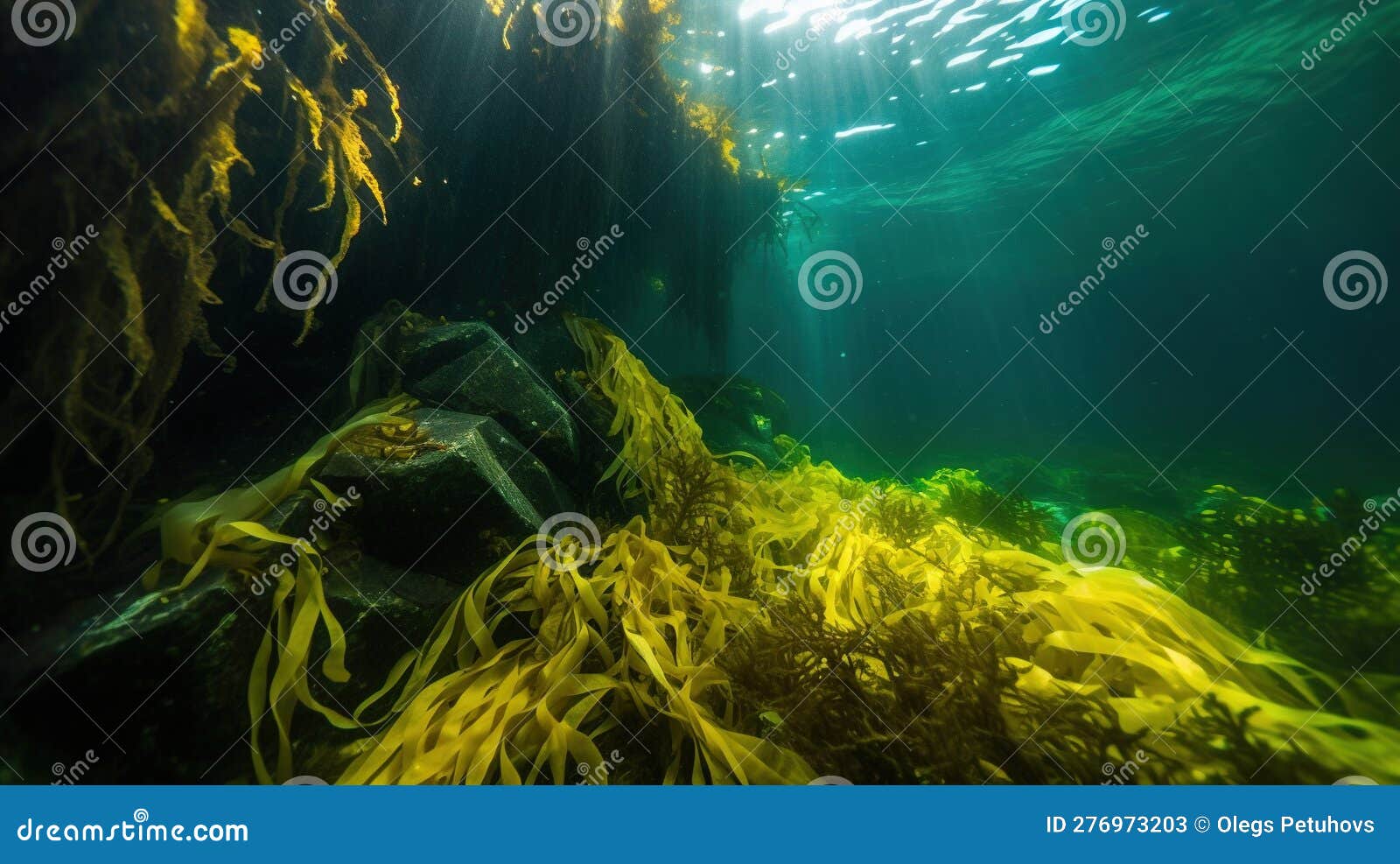 A Seaweed is Growing on the Bottom of the Water Stock Illustration ...