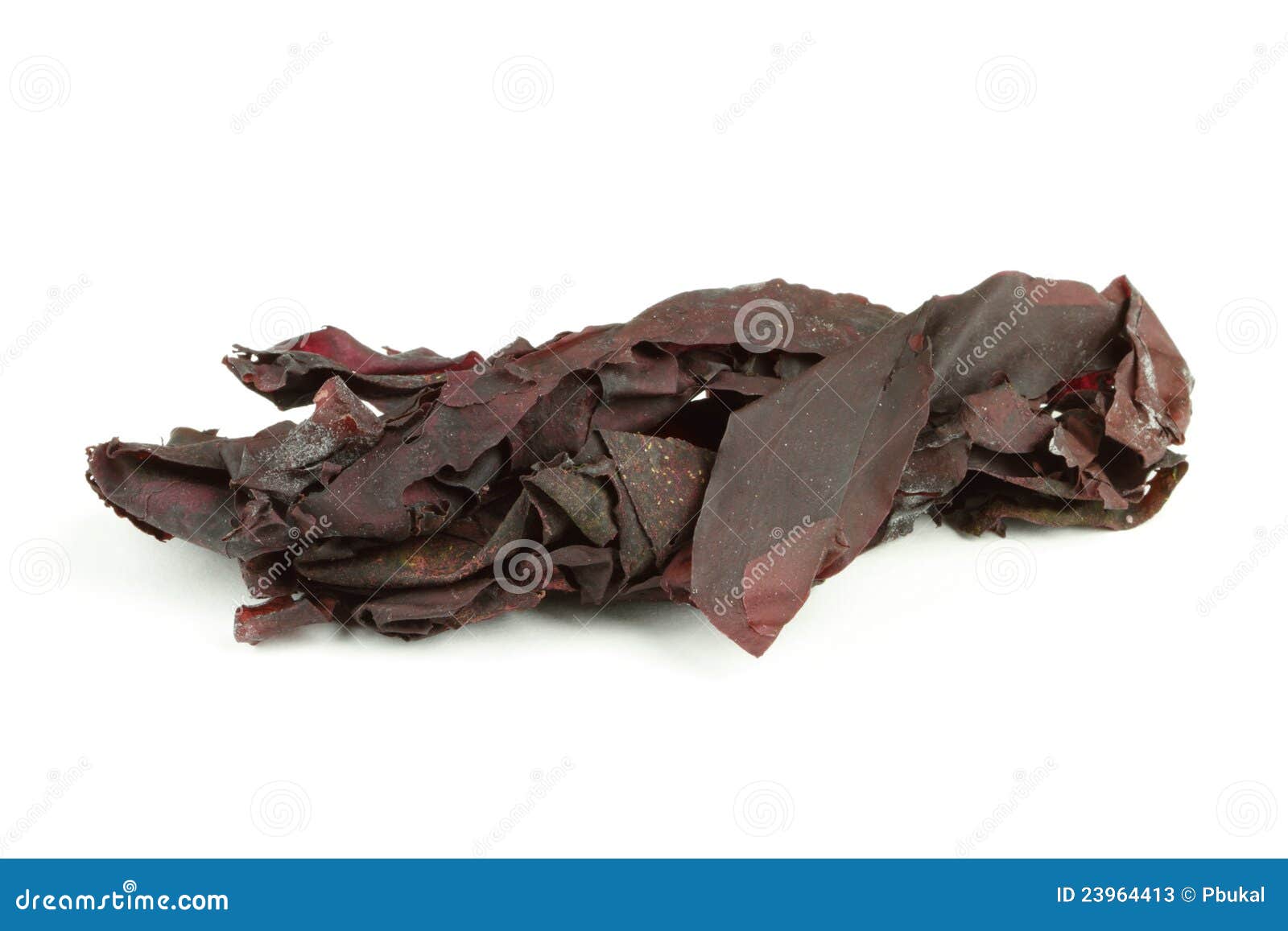 Seaweed Irish Dulse stock image. Image of meal, ingredient - 23964413