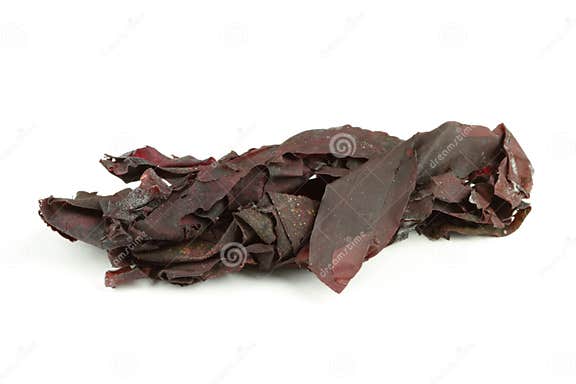 Seaweed Irish Dulse stock image. Image of meal, ingredient - 23964413