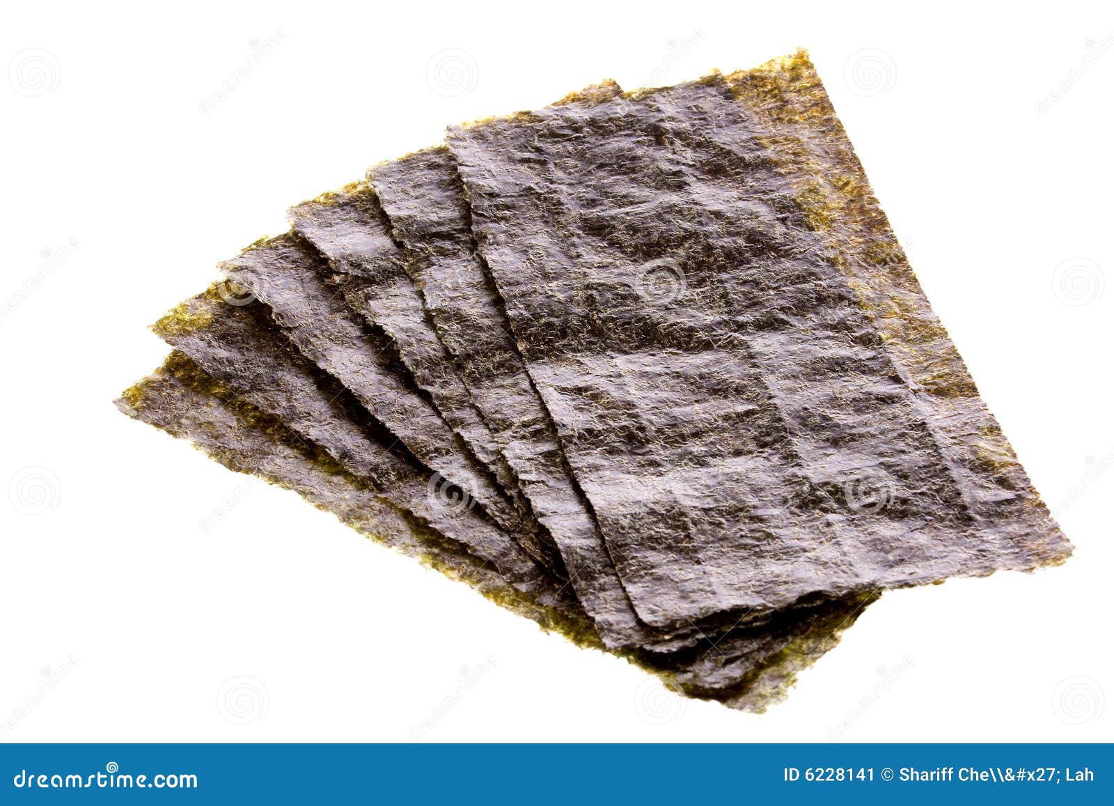 Seaweed Isolated stock image. Image of marine, seaweed - 6228141