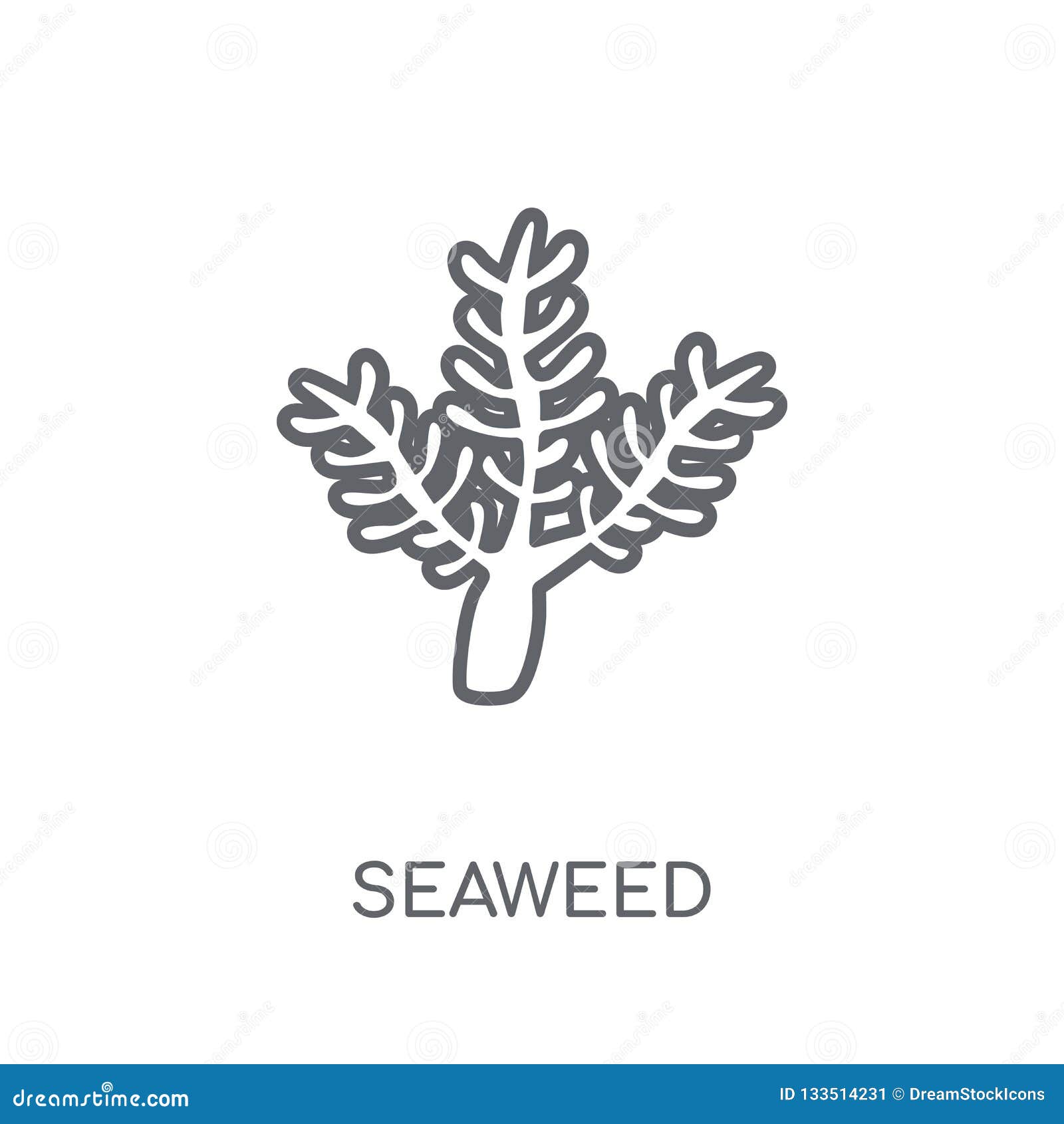 Seaweed Linear Icon. Modern Outline Seaweed Logo Concept on Whit Stock ...