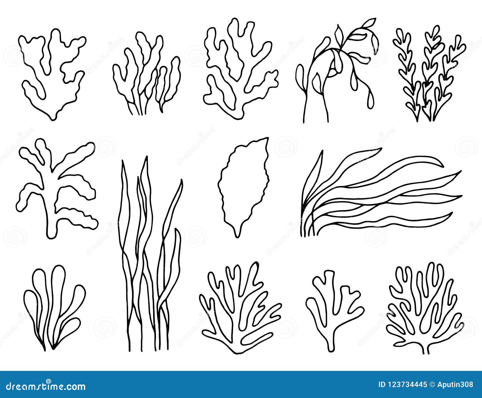 Simple Seaweed Drawing