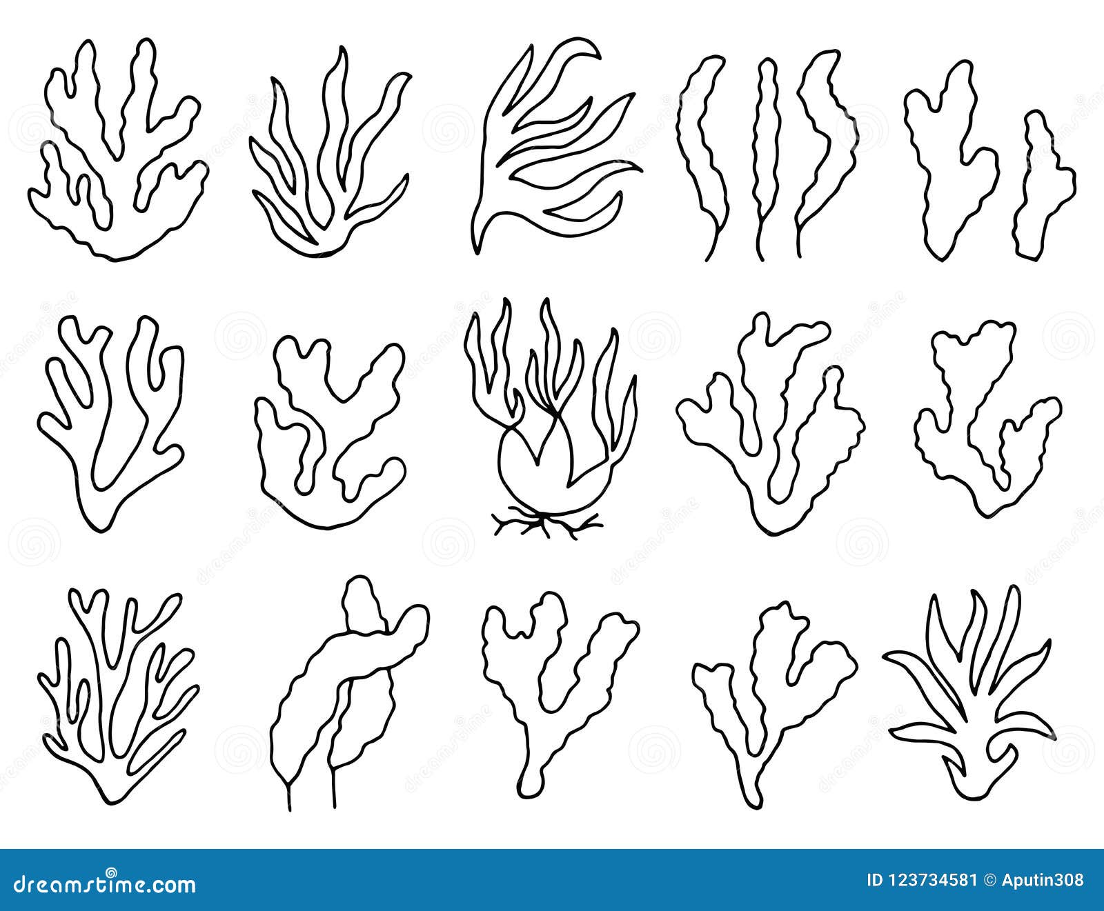 Seaweed Outline in Isolation. Linear Drawing a Set of Objects. Stock ...