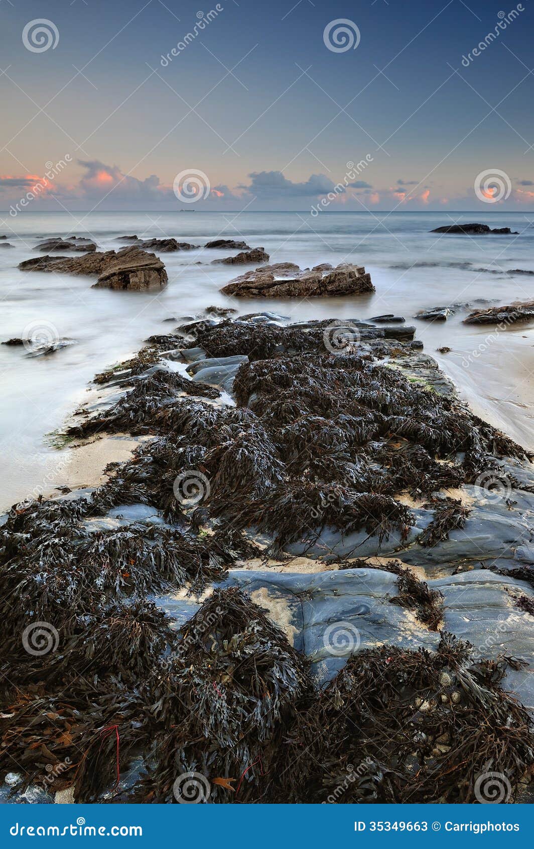 Seaweed on Rocks stock image. Image of seaside, sand - 35349663