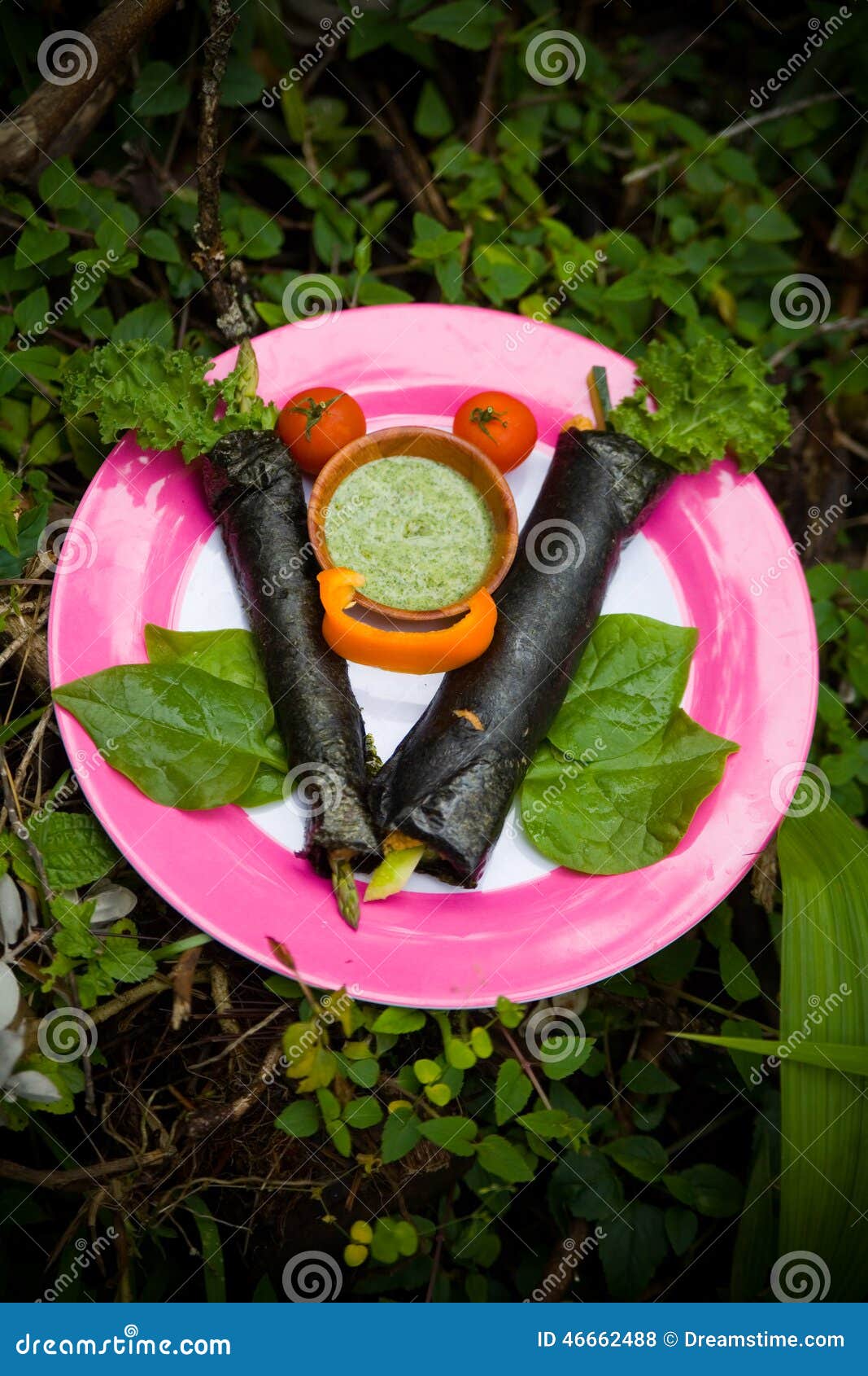 Seaweed roll stock photo. Image of plants, jung, roll - 46662488