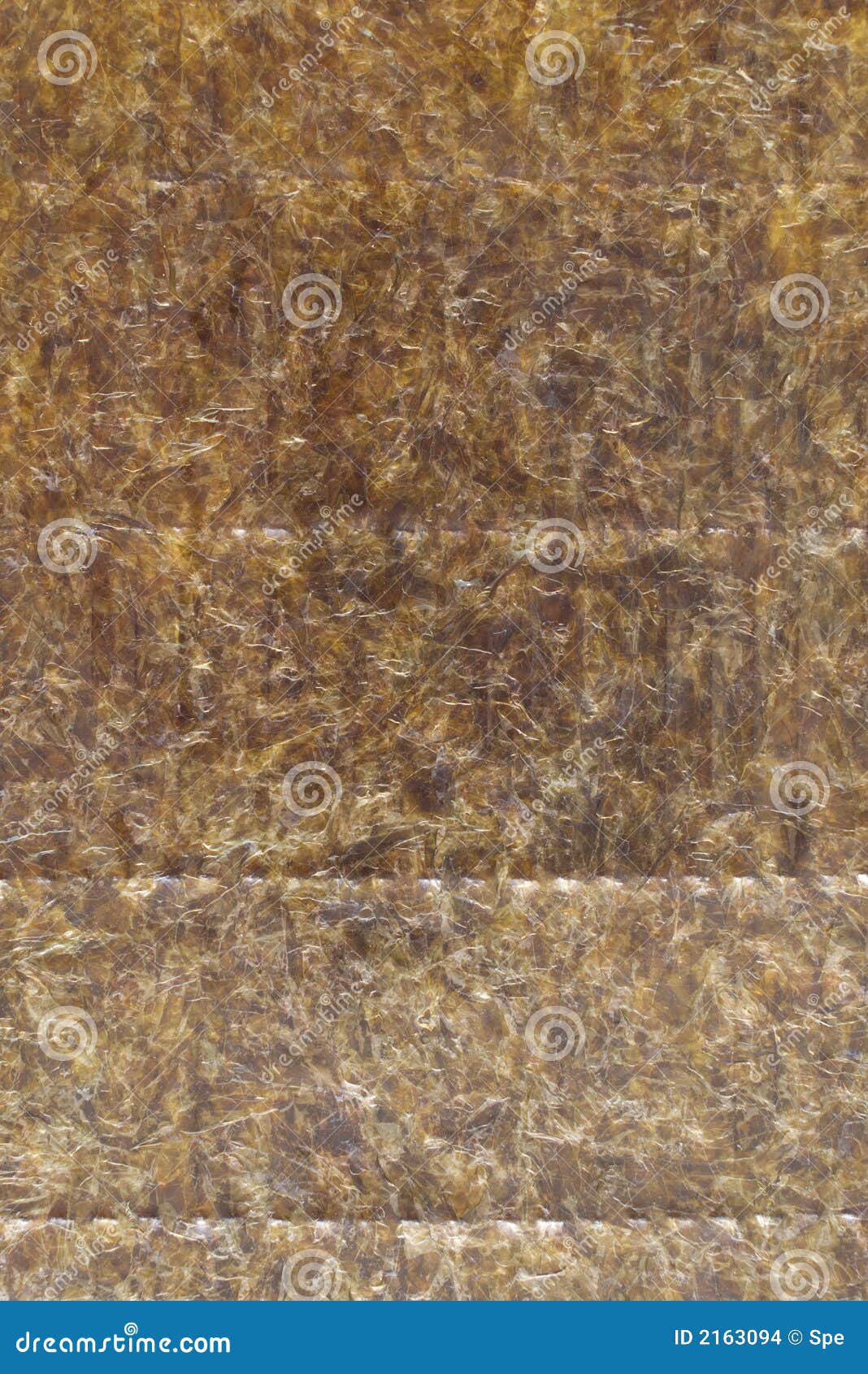 Seaweed sheet texture stock photo. Image of baked, plant - 2163094