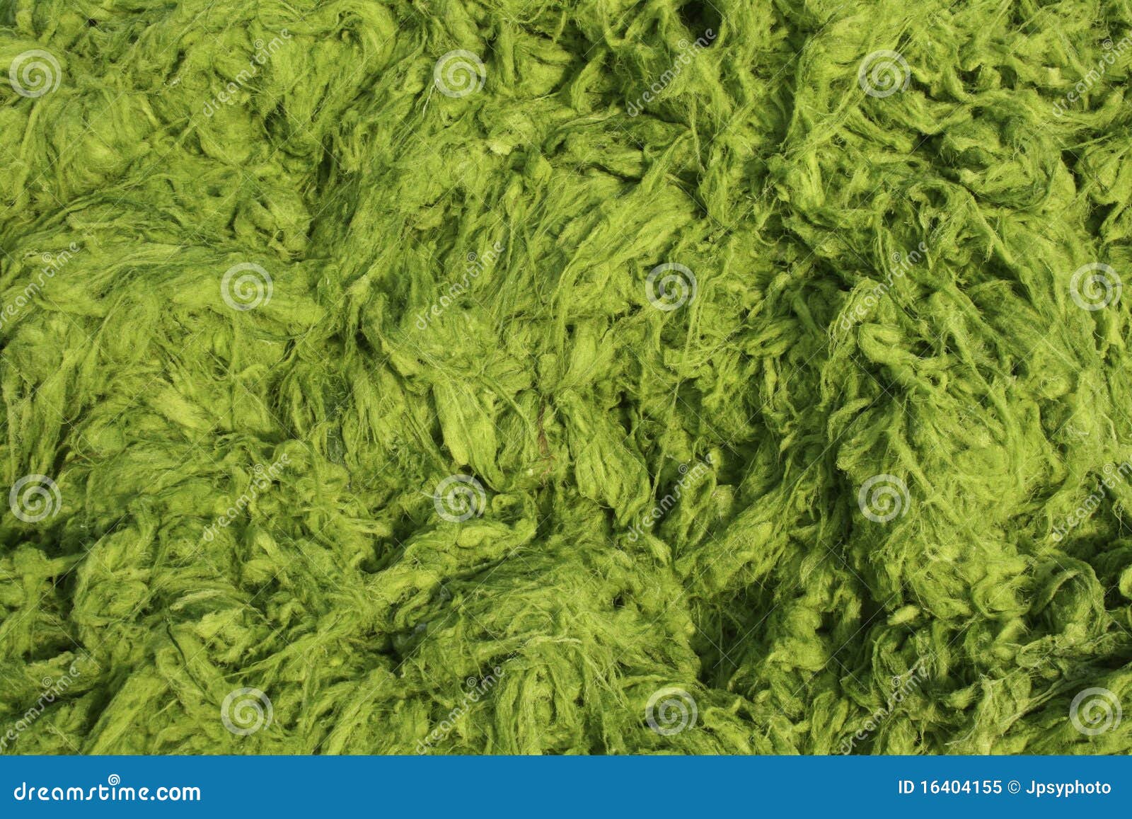 Seaweed Texture Royalty-Free Stock Photography | CartoonDealer.com ...