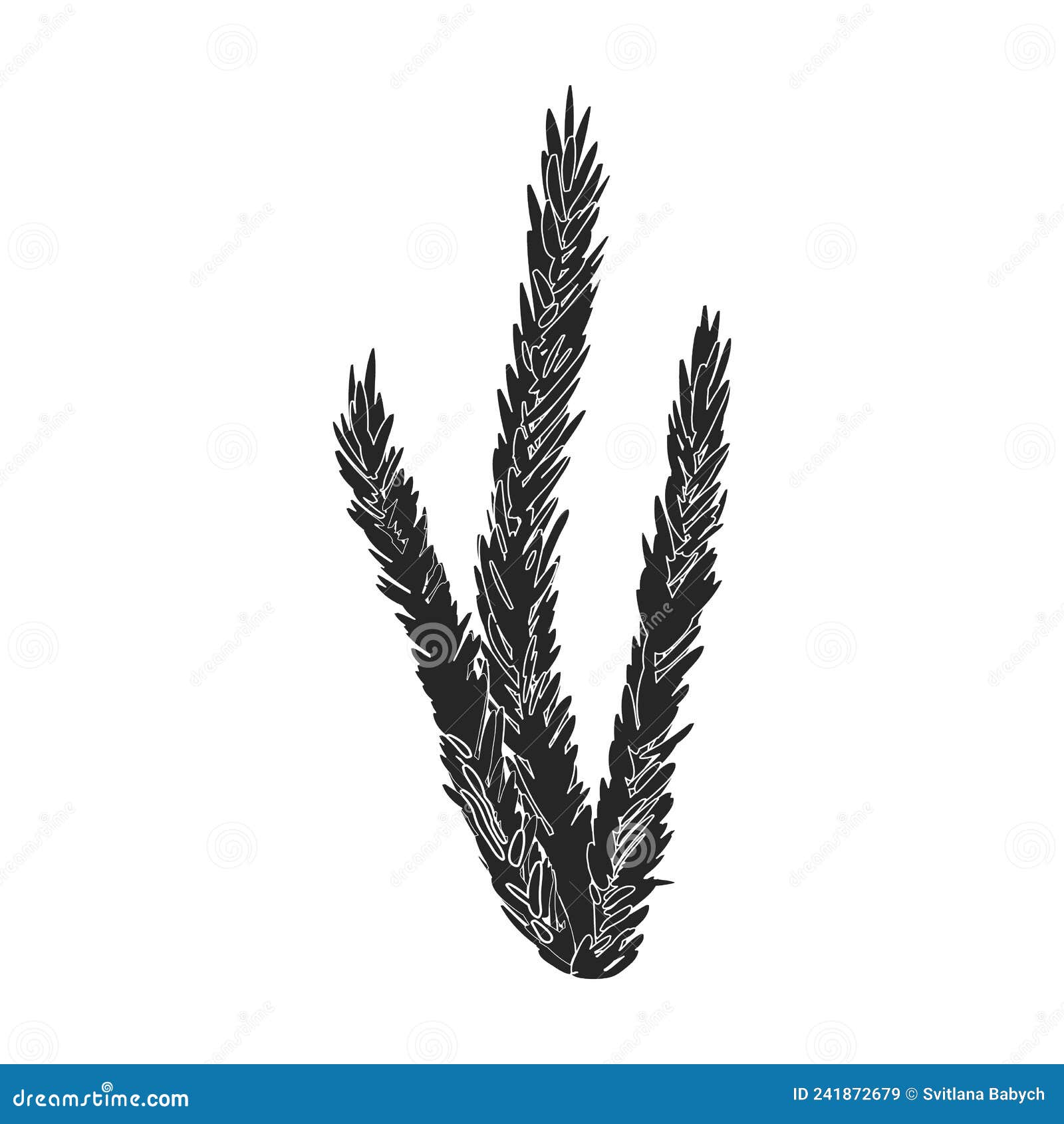 Seaweed Vector Icon.Black Vector Icon Isolated on White Background ...