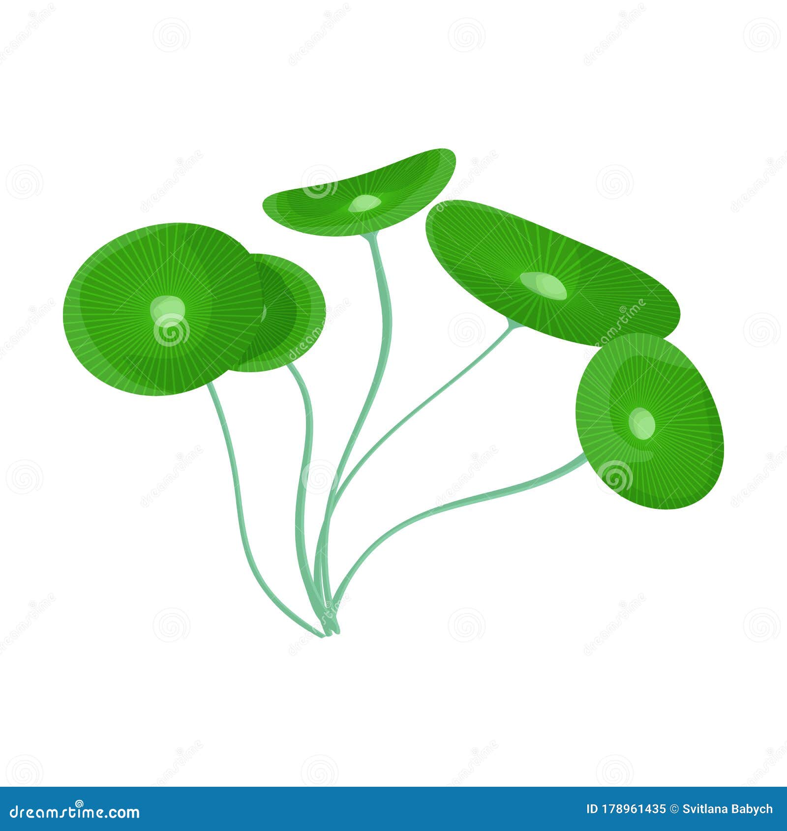 Seaweed Vector Icon.Cartoon Vector Icon Isolated on White Background ...