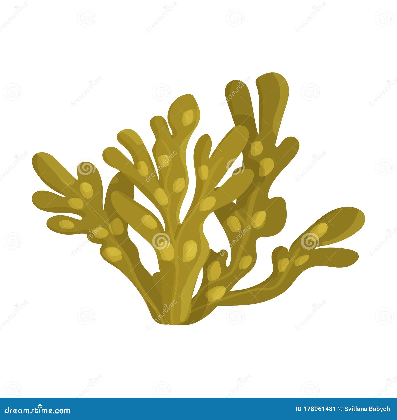 Seaweed Vector Icon.Cartoon Vector Icon Isolated on White Background ...