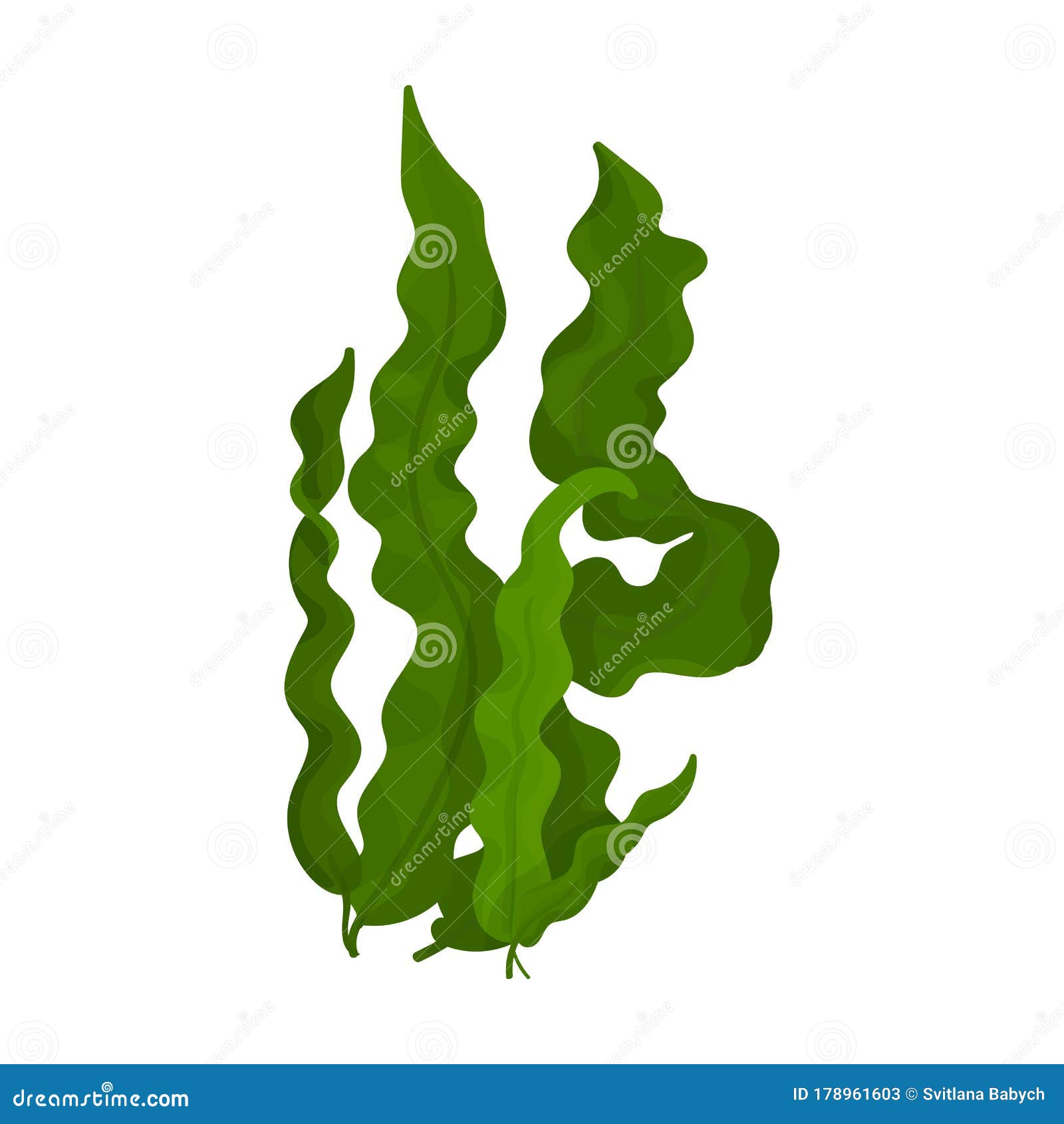 Seaweed Vector