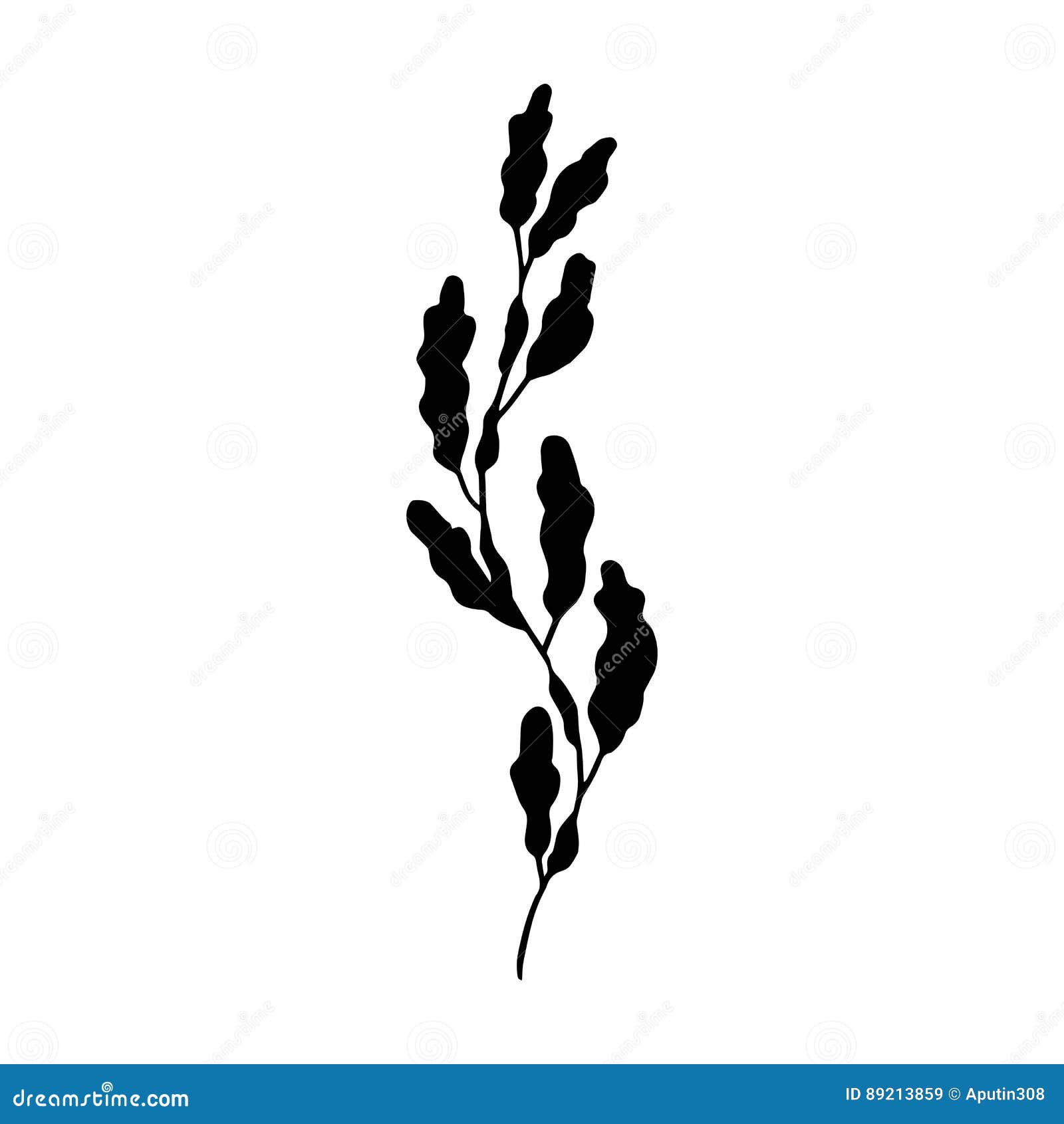 Seaweed Vector Free Download