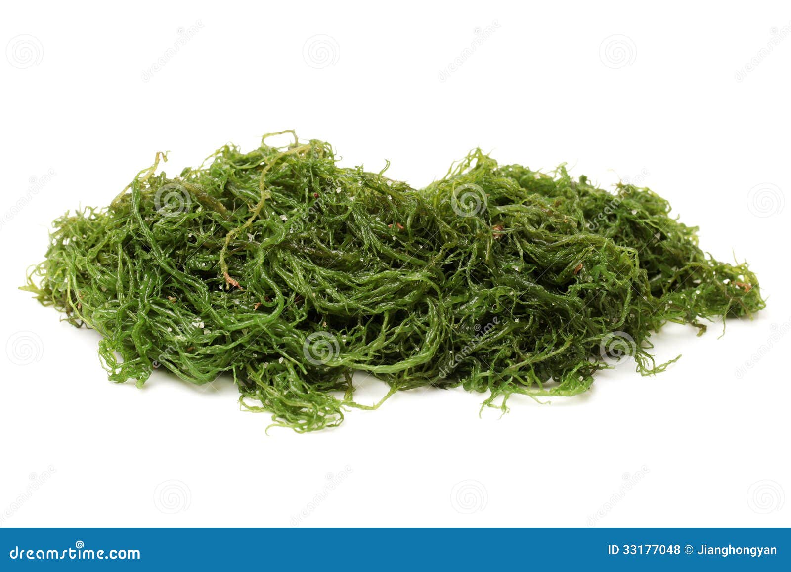 Seaweed stock photo. Image of japanese, green, nusa, organic - 33177048