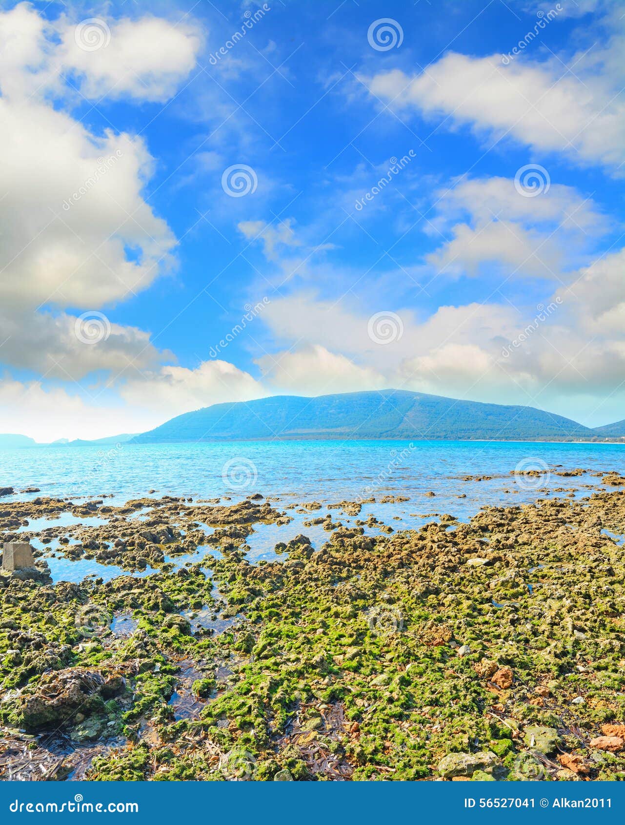 Seaweeds and Rocks by the Sea in Mugoni Beach Stock Image - Image of ...