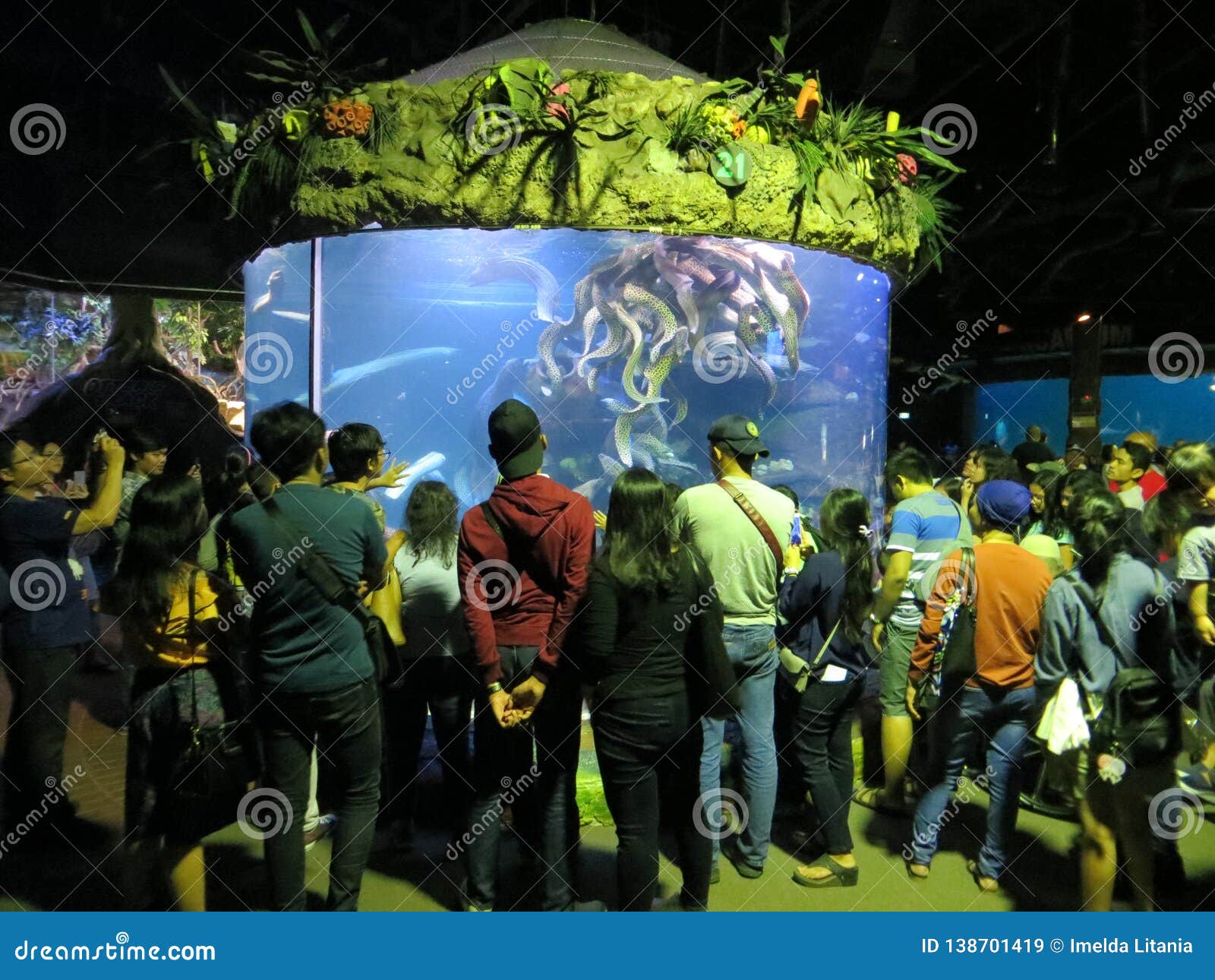 SeaWorld Ancol en Jakarta imagen de archivo editorial. Imagen de ...