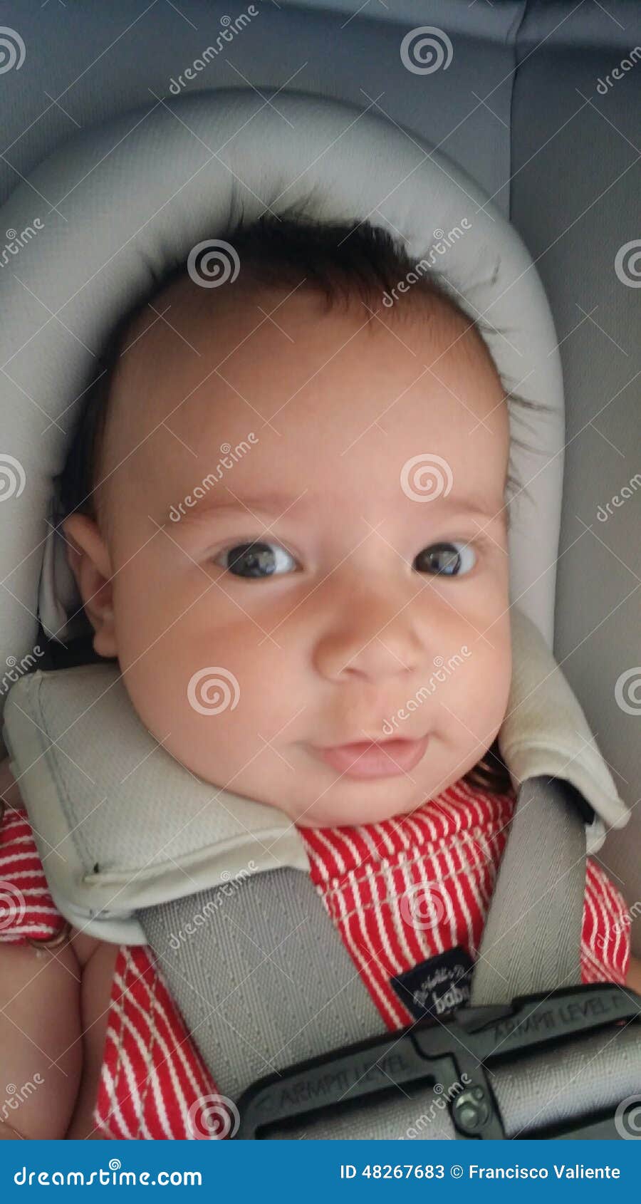 Seba s true eyes editorial stock photo. Image of baby - 48267683