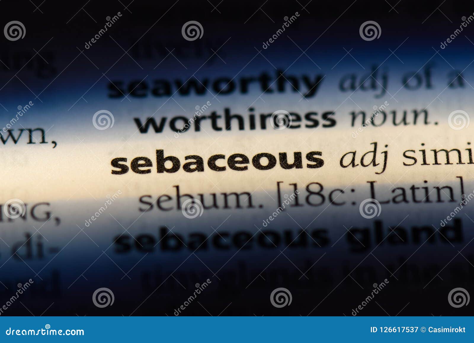 Sebaceous stock image. Image of macro, paper, book, dictionary - 126617537